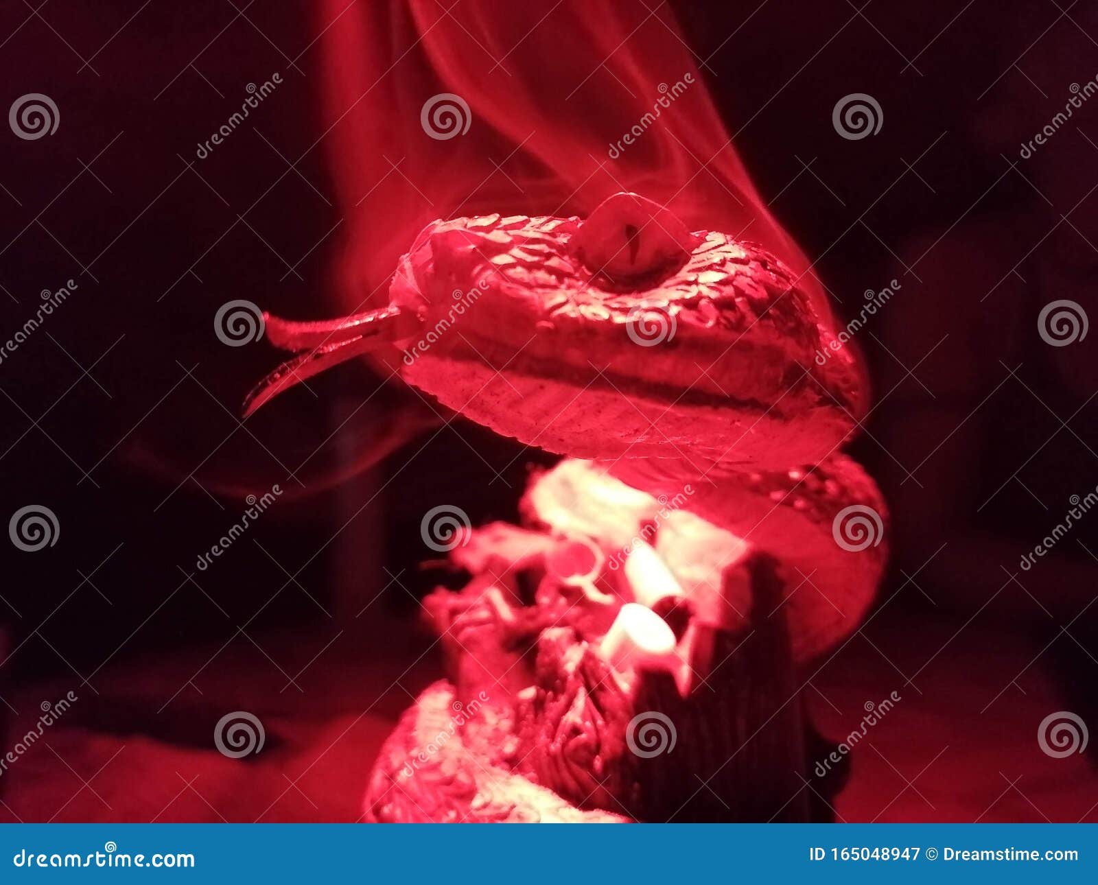 Hot Snake stock image. Image of angry, snake, venom - 165048947