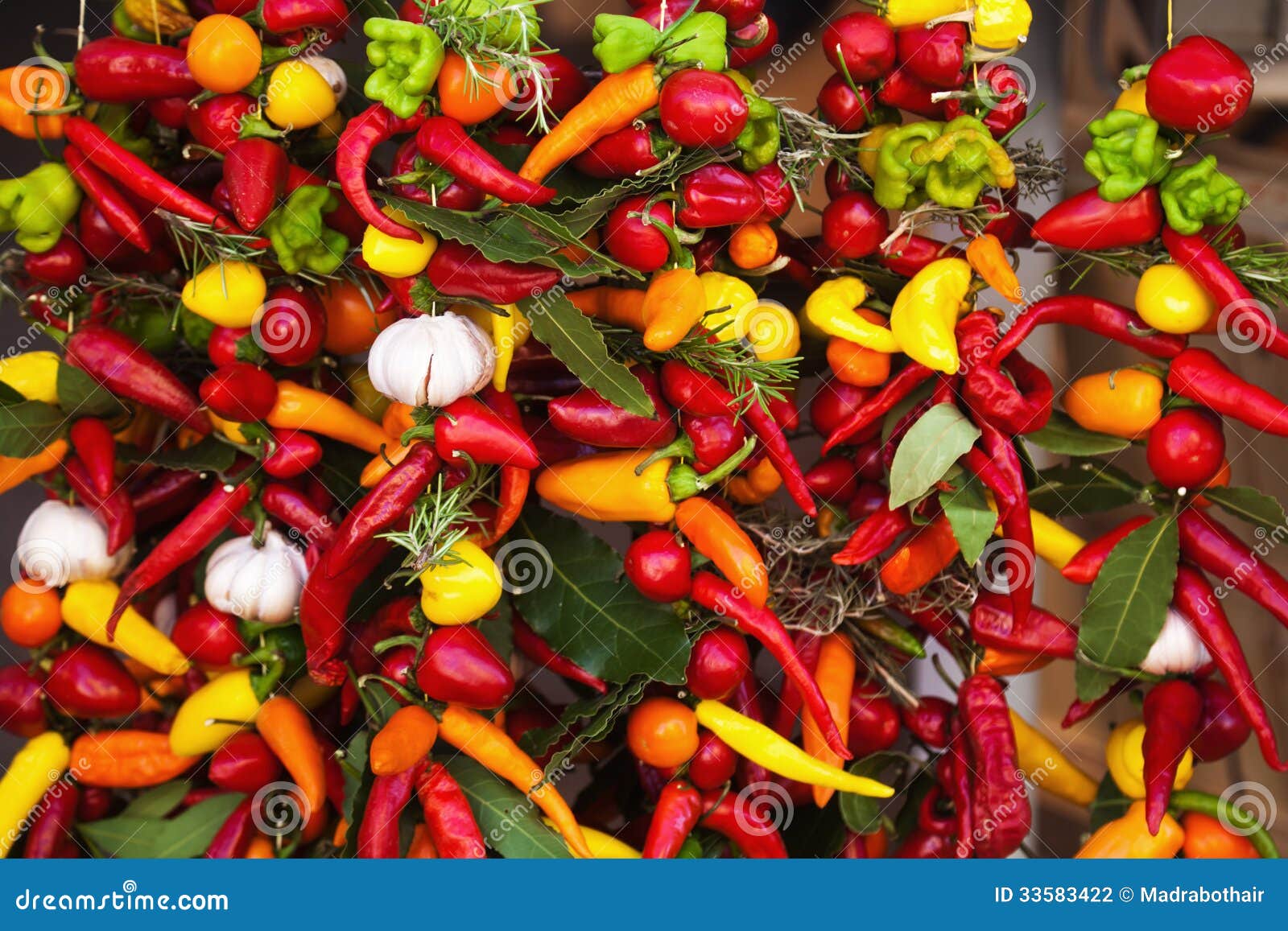 Hot spices at a string stock photo. Image of food, leaves - 33583422