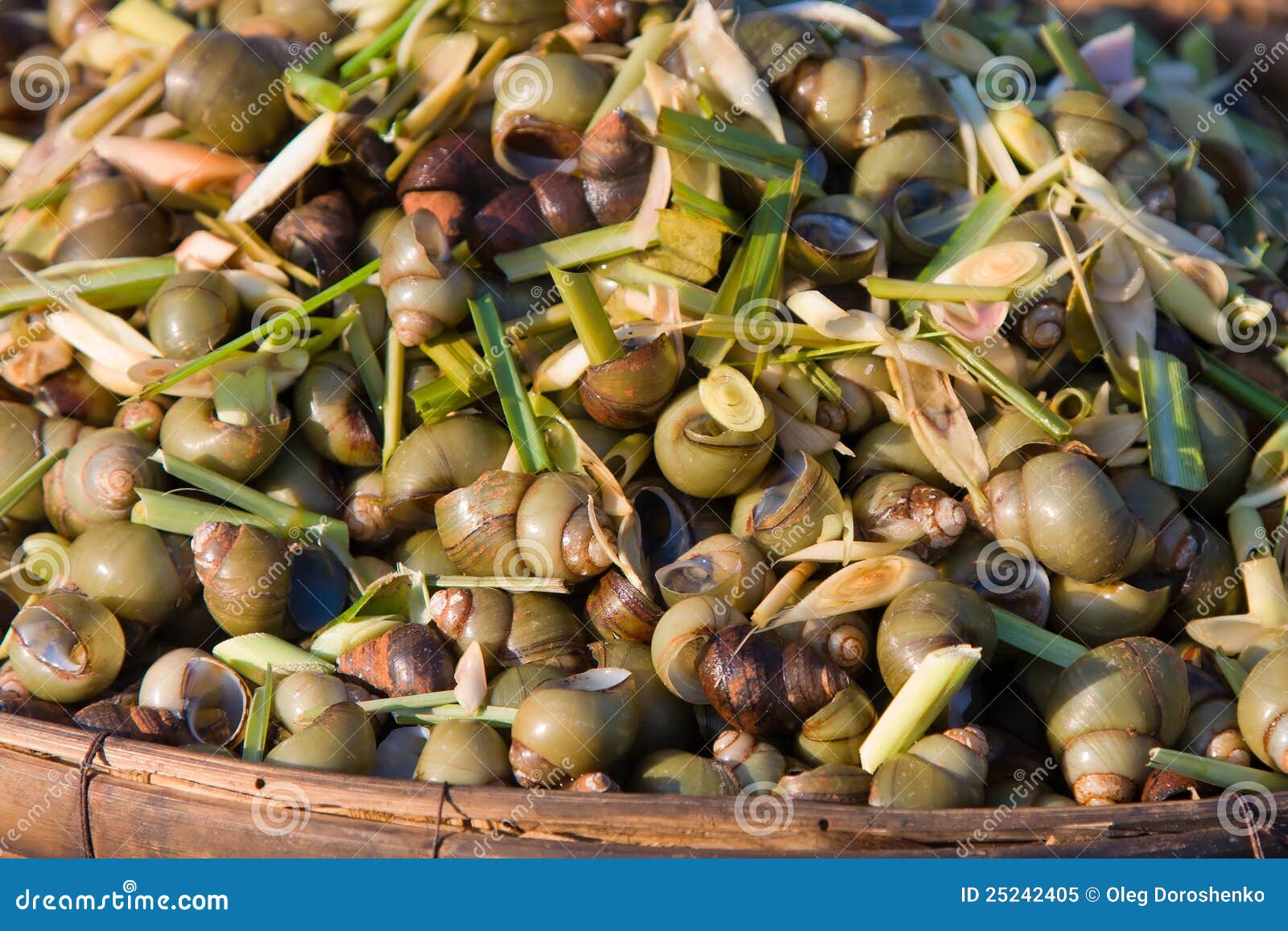 Hot and spicy fried shell stock image. Image of asia - 25242405