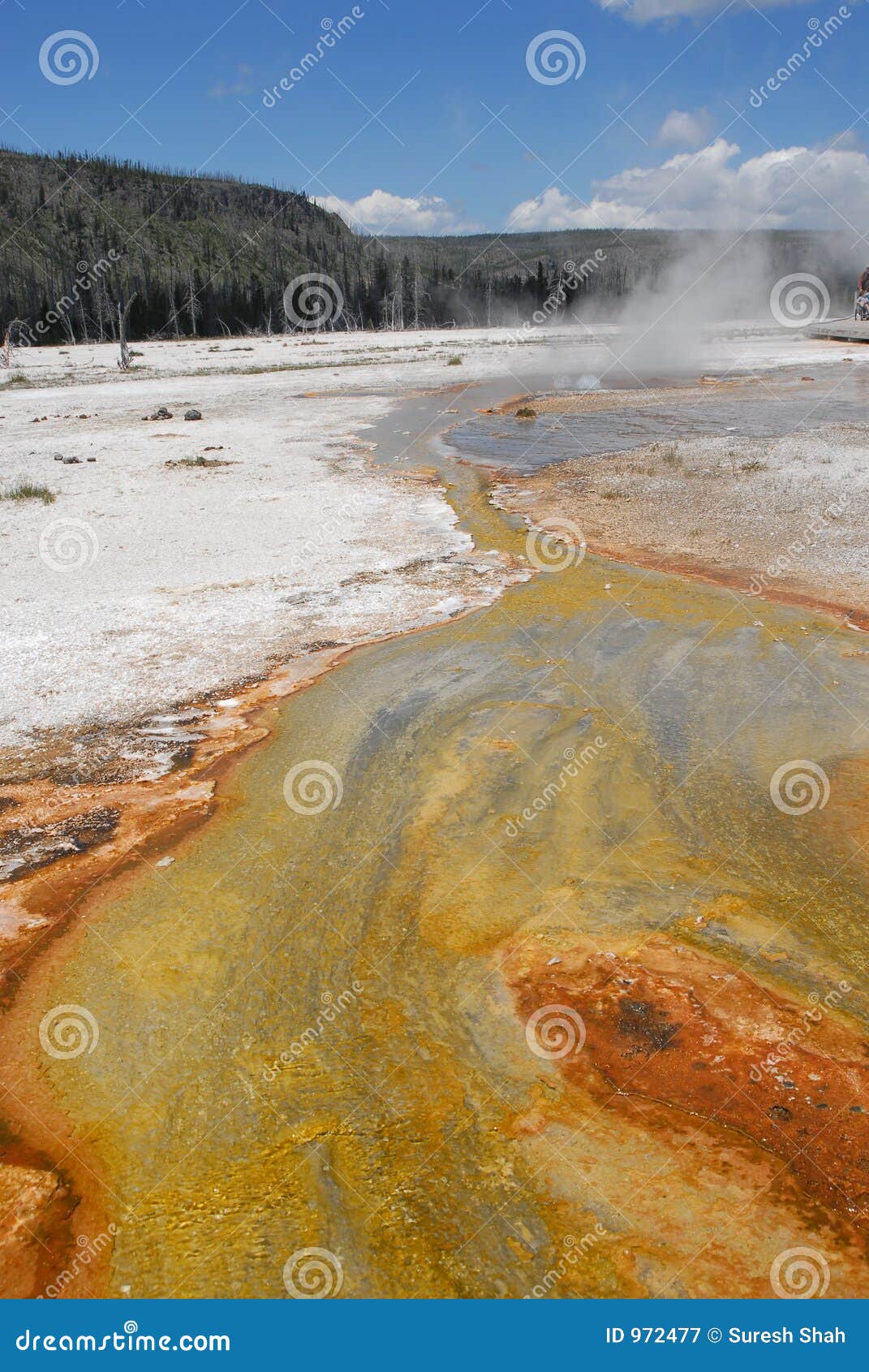 Hot Spring Geyser_Bacterial Formation Stock Image - Image of steaming ...