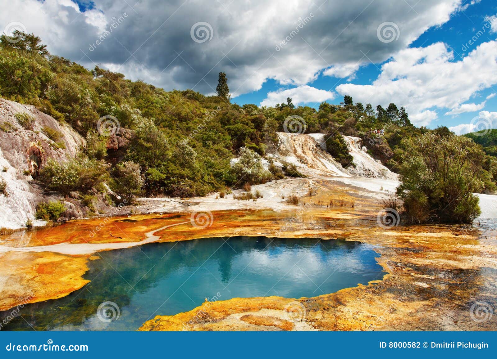 Hot spring, New Zealand stock photo. Image of scenic, geophysics - 8000582