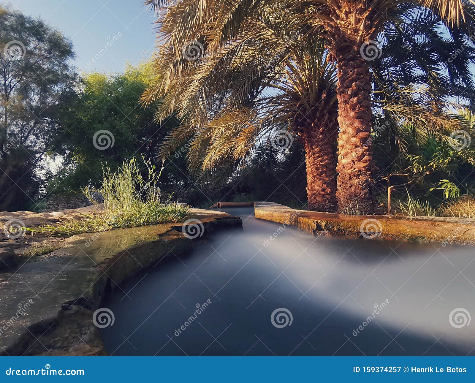 Hot spring in oasis Egypt stock image. Image of lake - 159374257