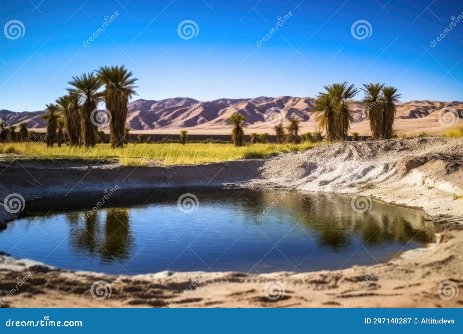Hot Spring Oasis in the Middle of a Sandy Desert Stock Image - Image of ...
