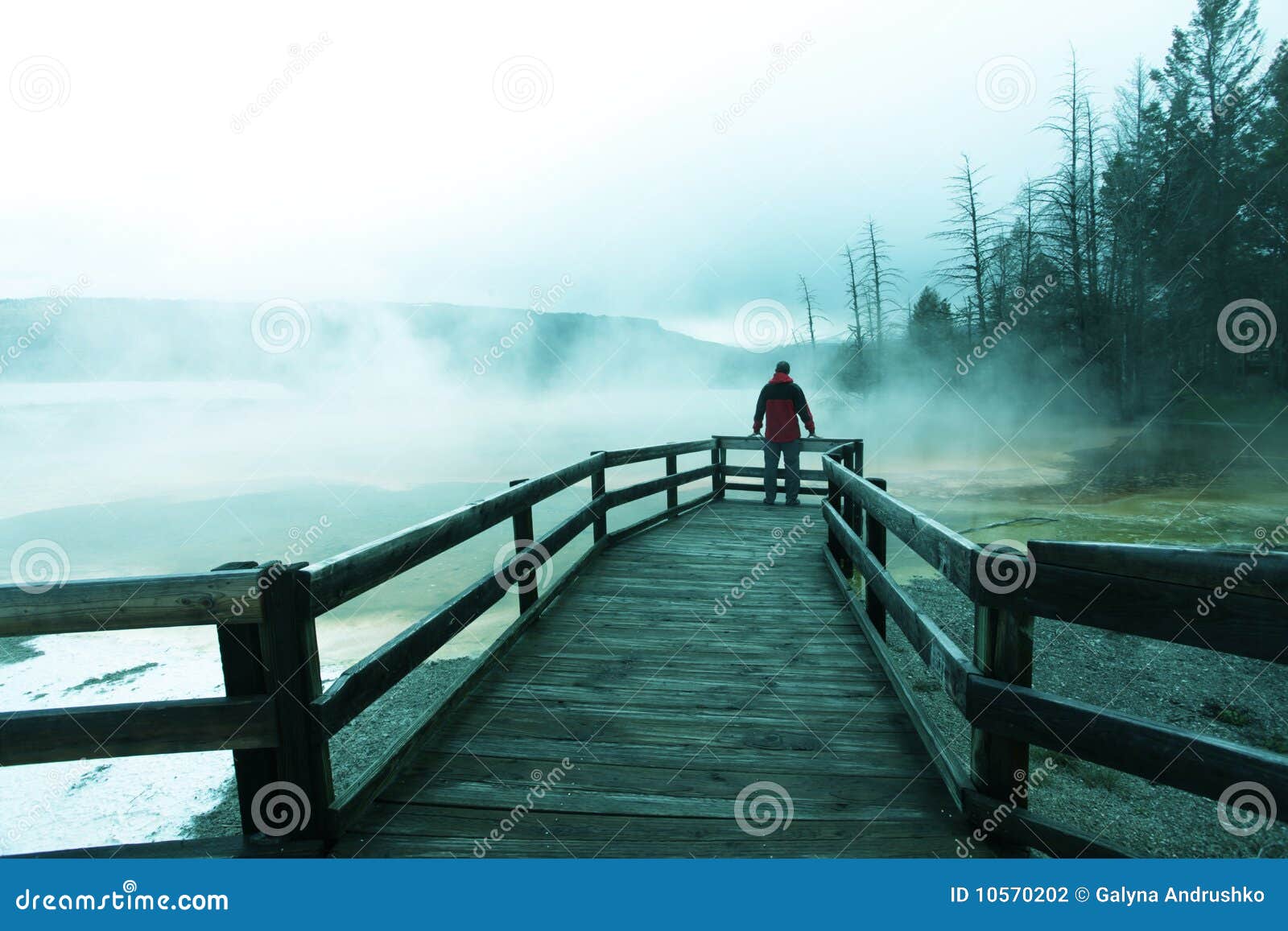 Hot spring pool stock photo. Image of nature, preserve - 10570202