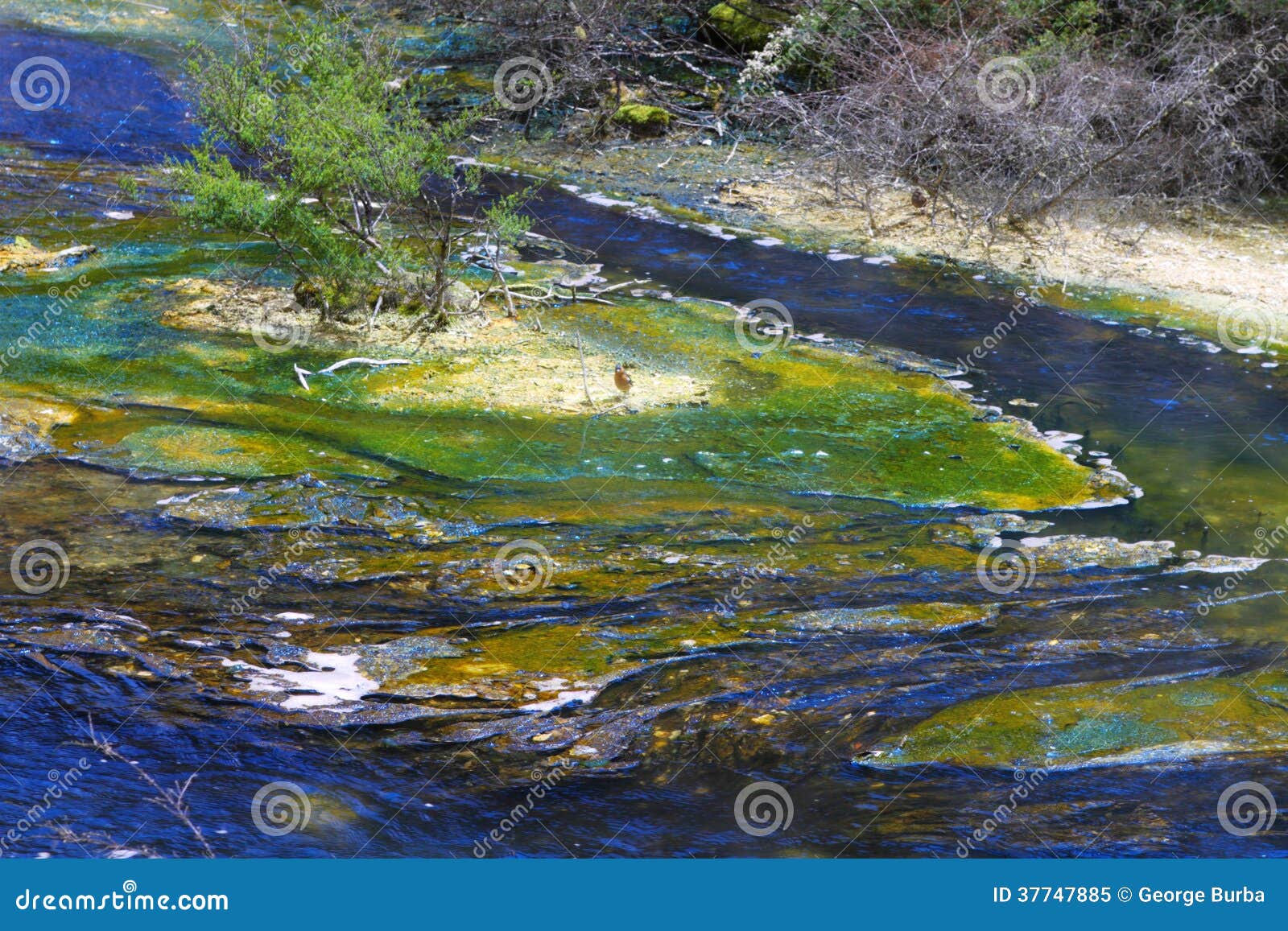 Hot spring river stock image. Image of north, pattern - 37747885