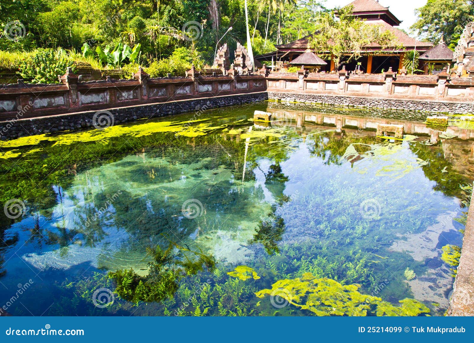 Hot Springs in Bali Temple. Stock Image - Image of landmark, resort ...