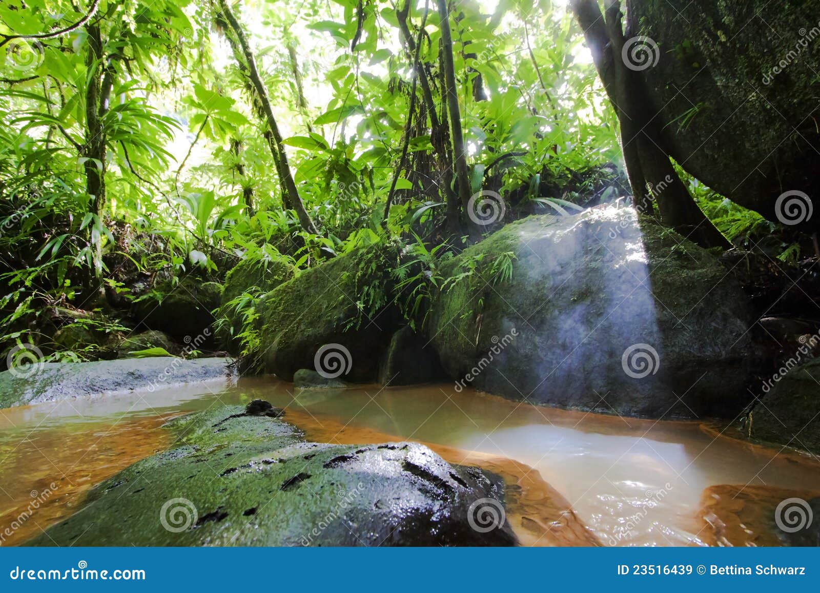 Hot Springs and Sulfur Pools in Dominica Stock Image - Image of ...