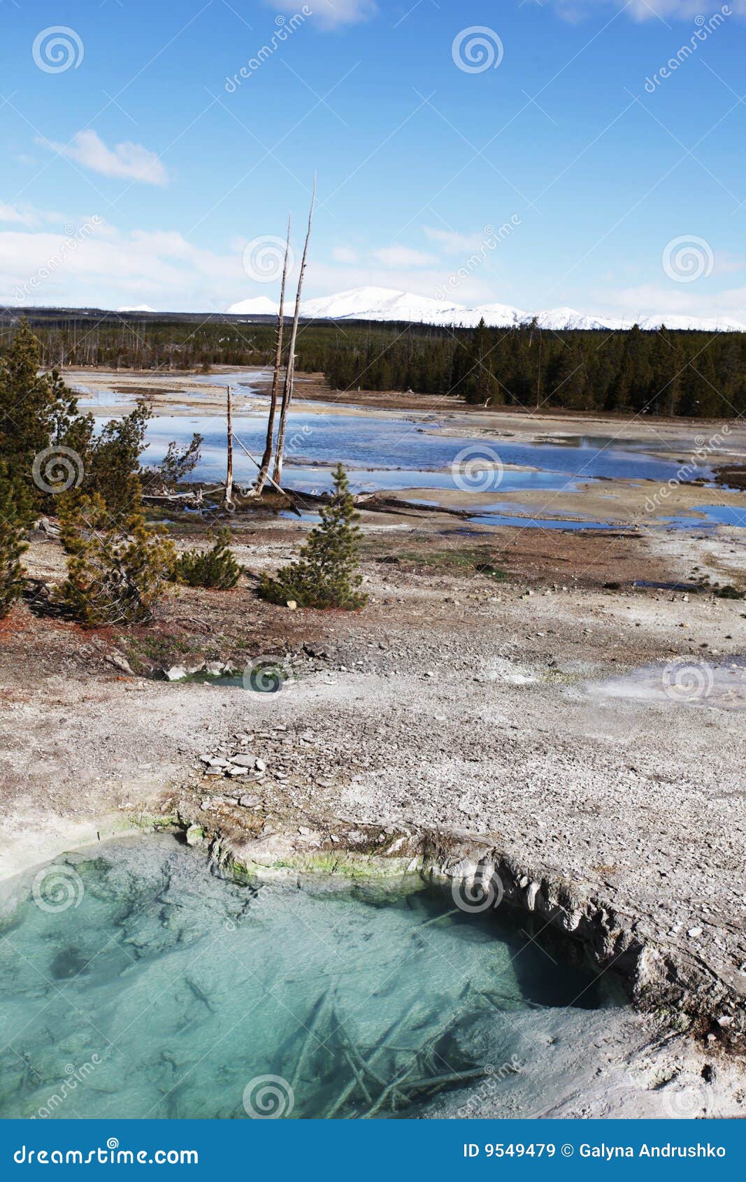 Hot springs in Yellowstone stock image. Image of park - 9549479