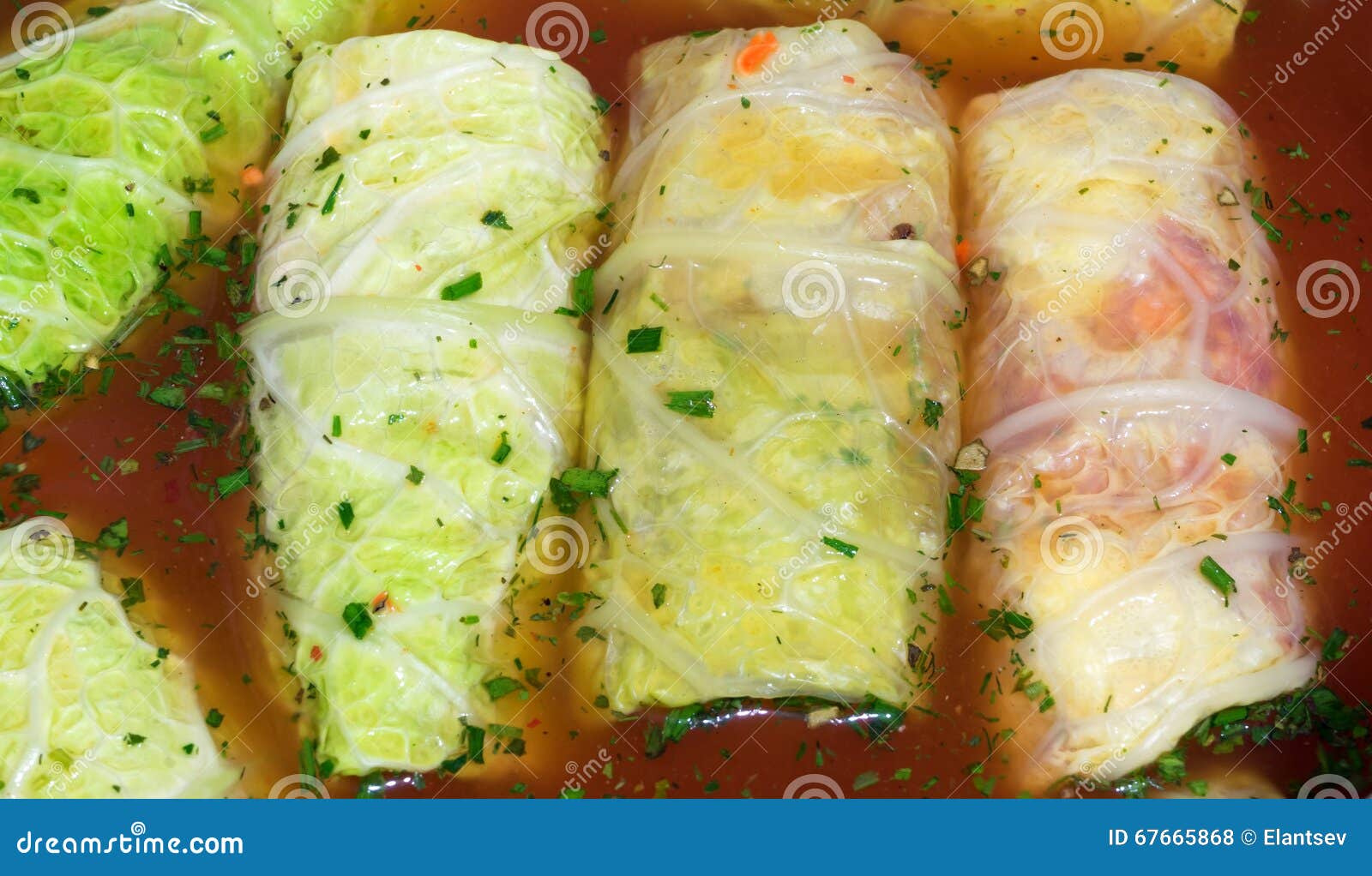 Hot Steamed Cabbage Rolls in Tomato Sauce Stock Photo - Image of ...