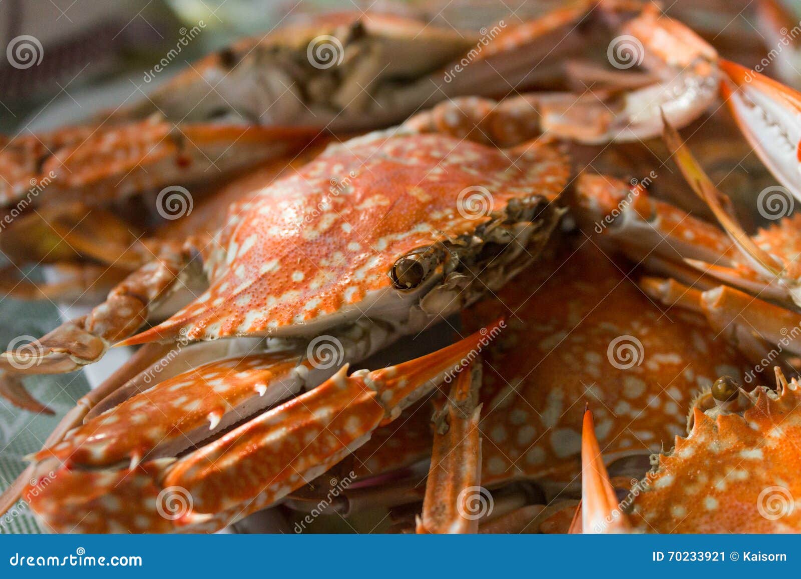 Hot Steamed Crabs Stock Photo | CartoonDealer.com #44978604