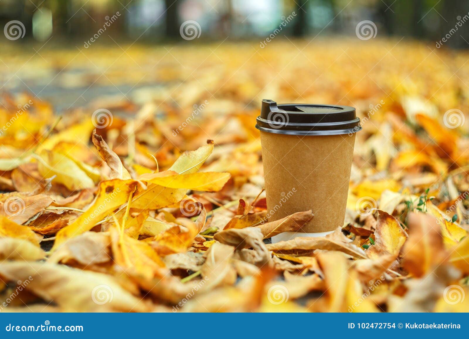 Hot Steaming Cup of Coffee on Autumn Leaves Stock Photo - Image of cafe ...