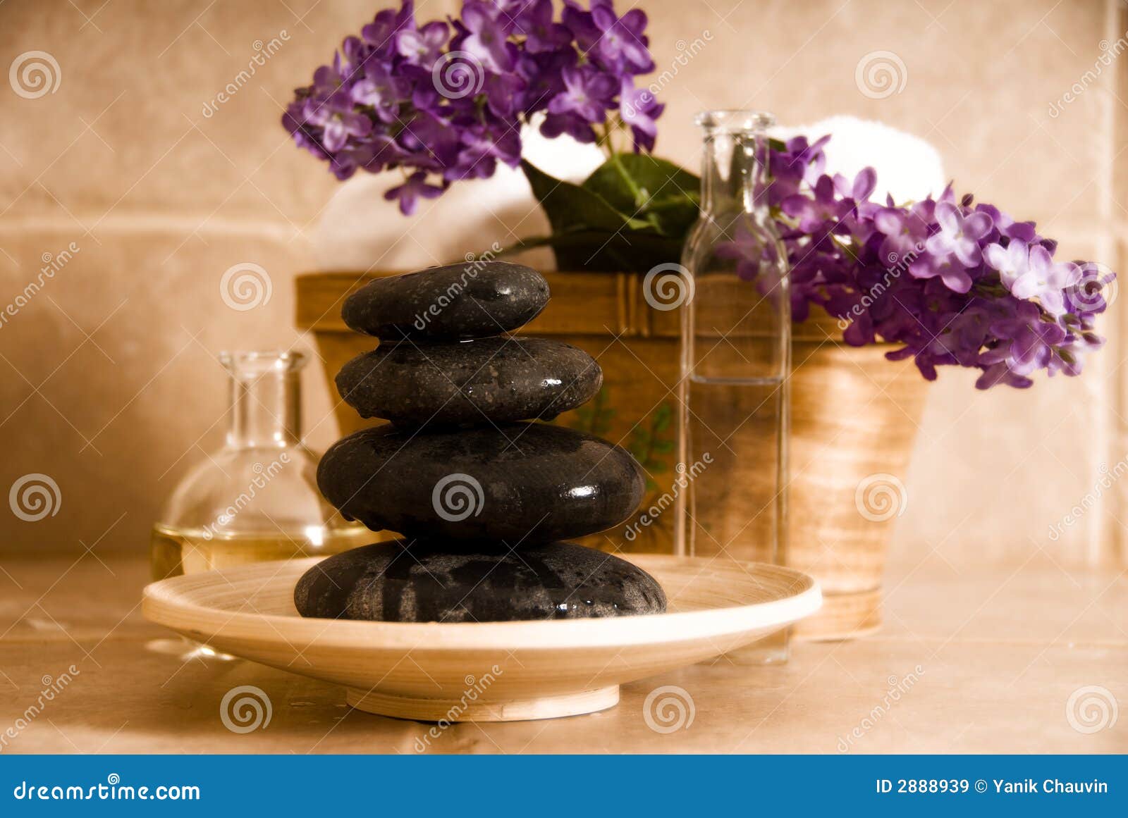 Hot Stone stock image. Image of dayspa, care, healing - 2888939