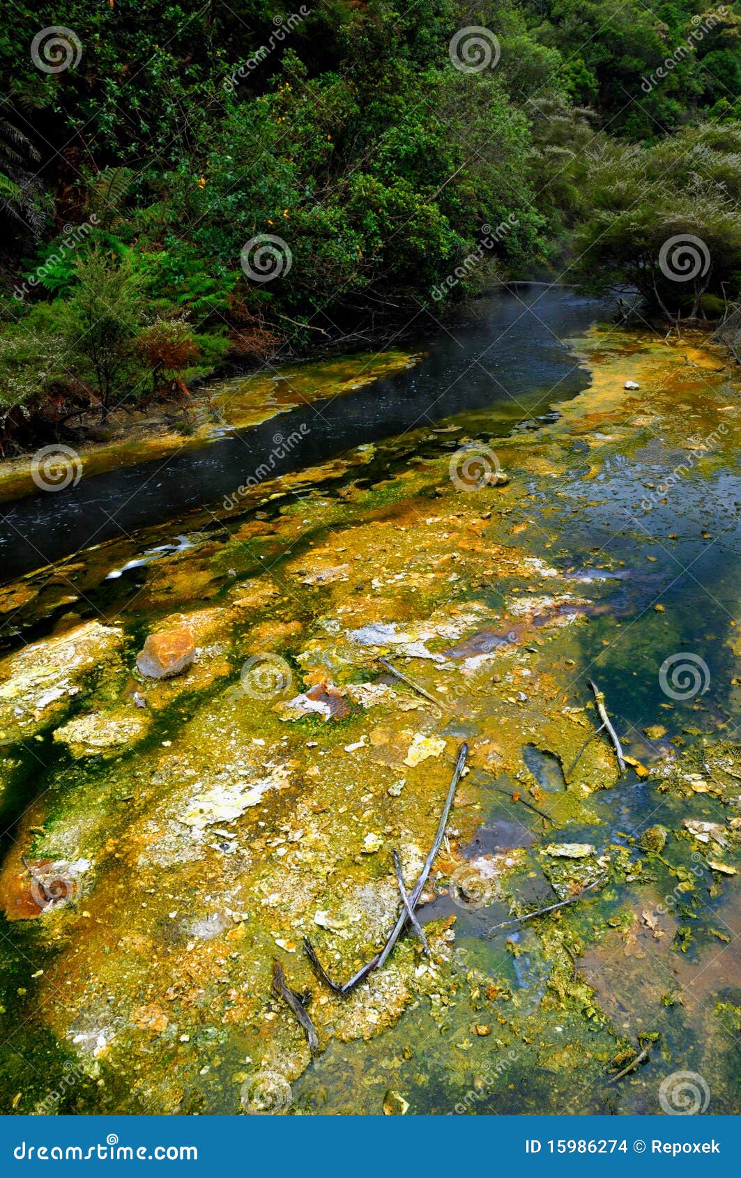 Hot Stream with Mineral Sediments, Waimangu Volcan Stock Photo - Image ...