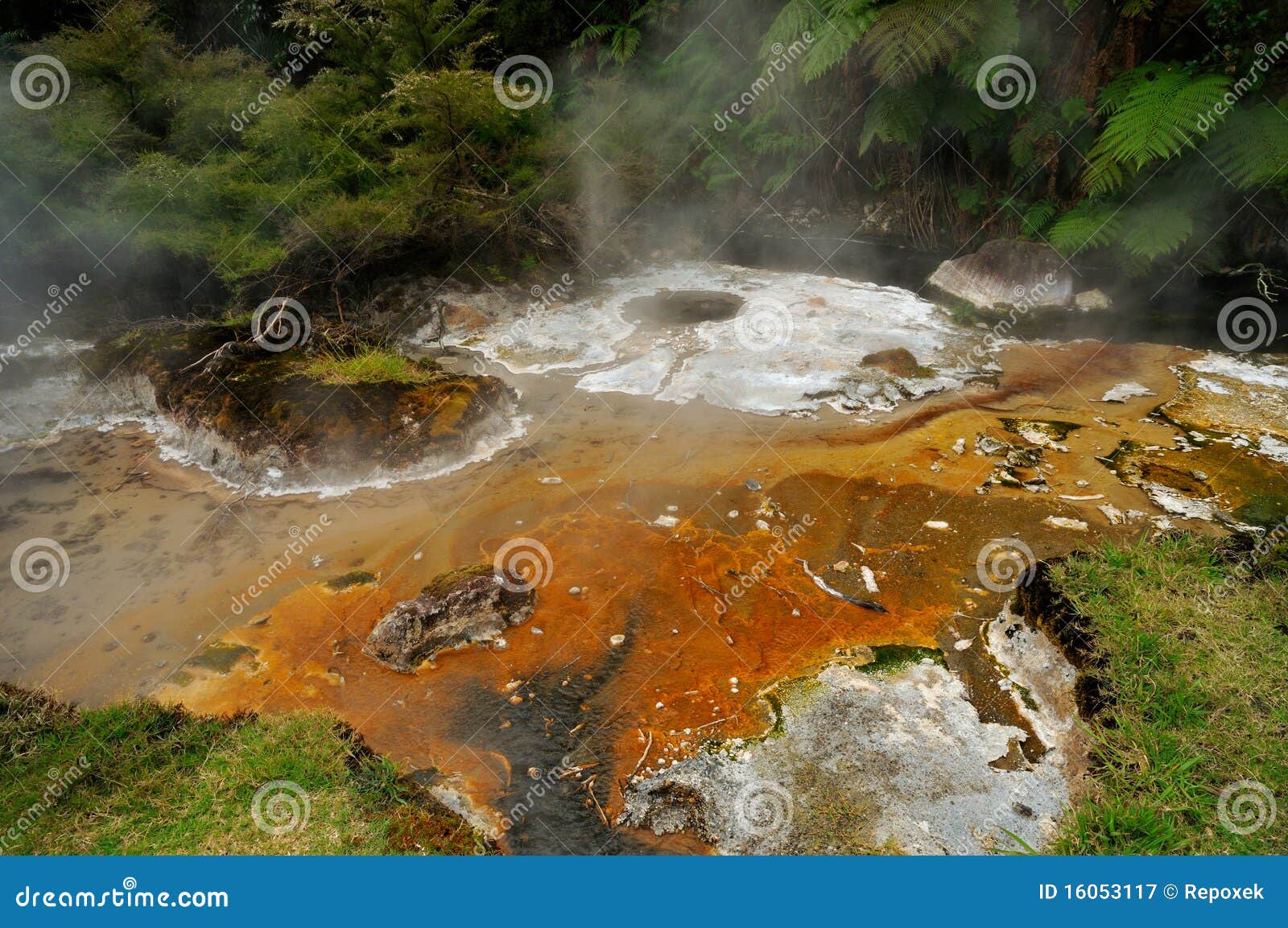 Hot Stream with Mineral Sediments, Waimangu Volcan Stock Image - Image ...