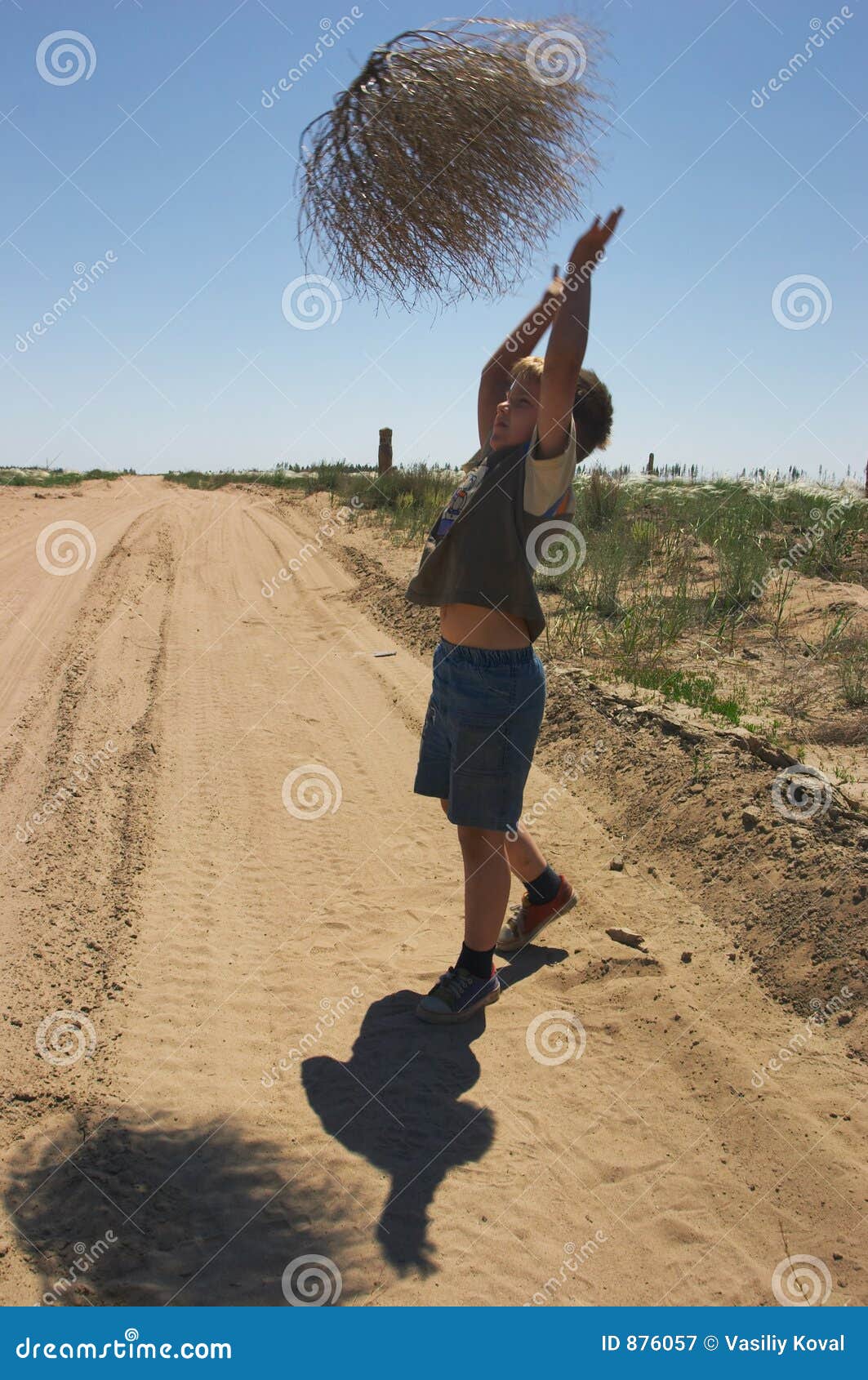 Hot summer stock image. Image of green, plant, child, blue - 876057 Hot summer stock image. Image of green, plant, child, blue - 876057