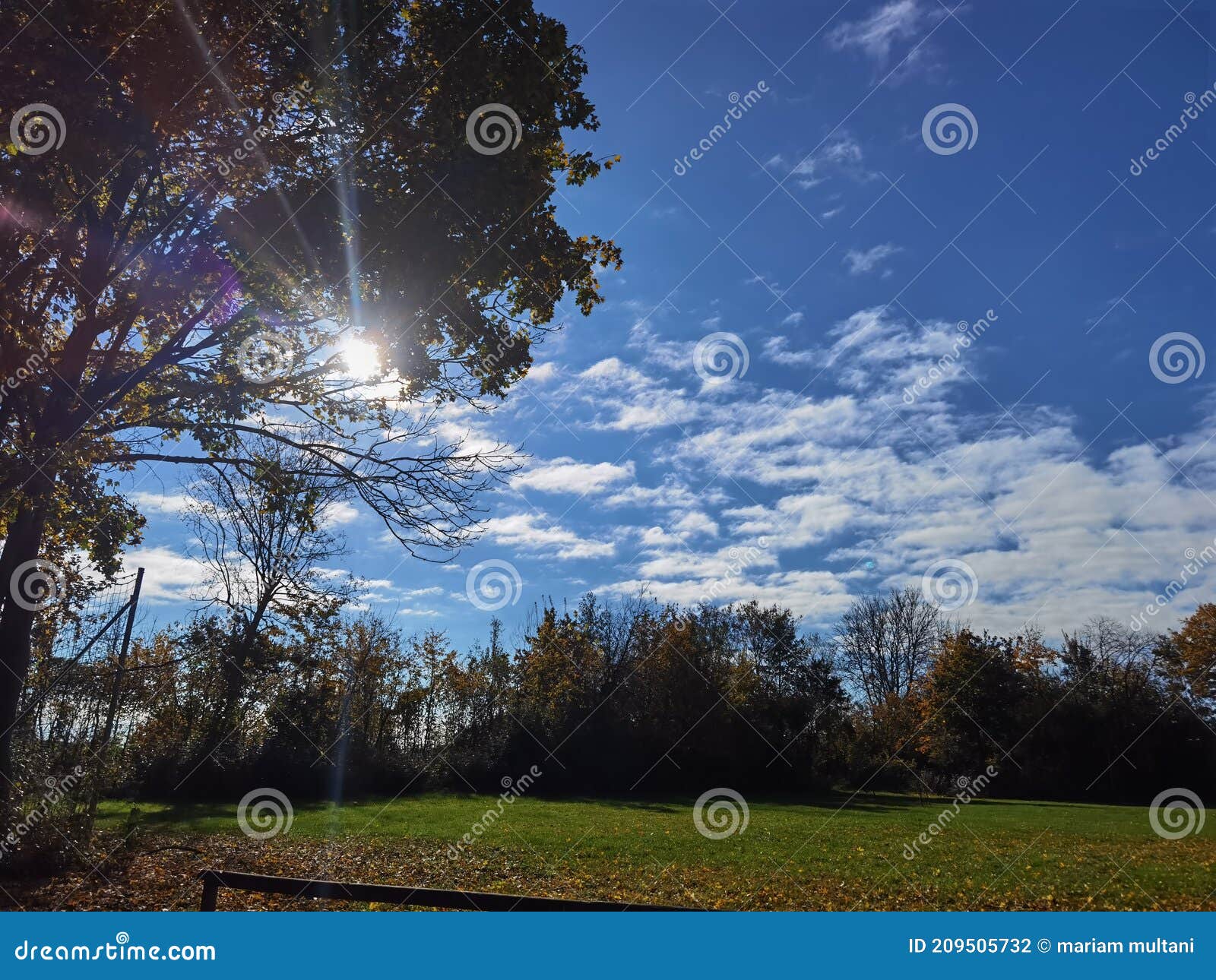 Hot summer Austria stock photo. Image of flower, autumn - 209505732