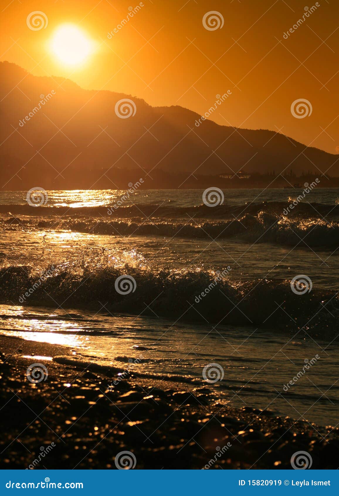 Hot Summer Morning stock image. Image of alone, nature - 15820919