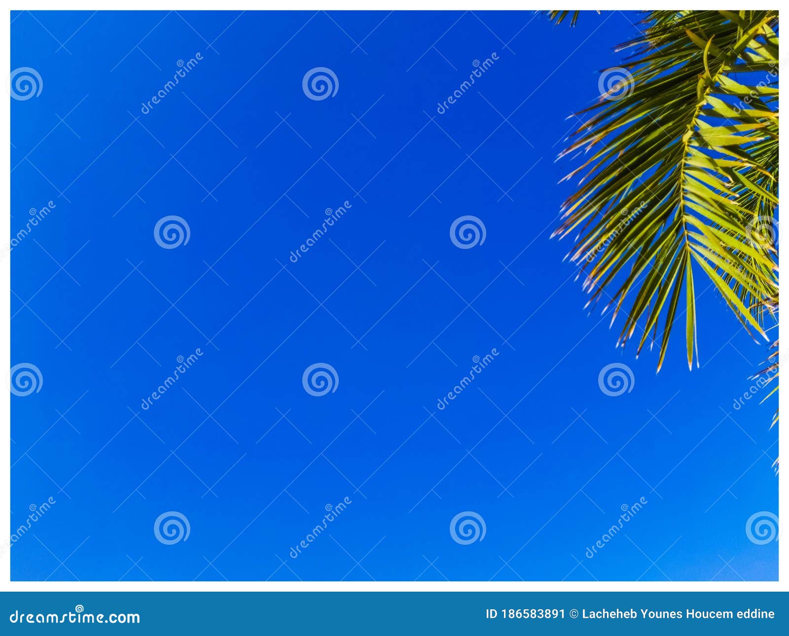 Hot Summer in this Year with Heat Sun Stock Image - Image of beach ...