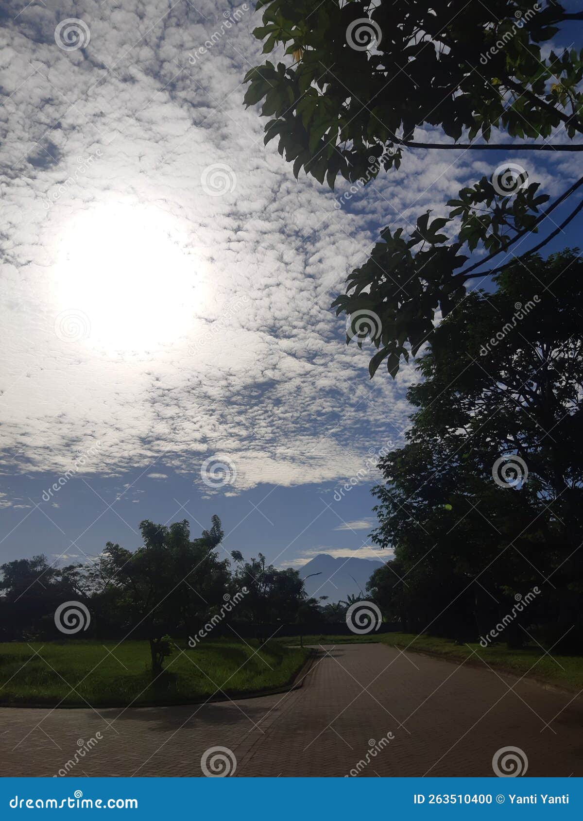 Hot sun in the morning stock photo. Image of snow, sunlight - 263510400