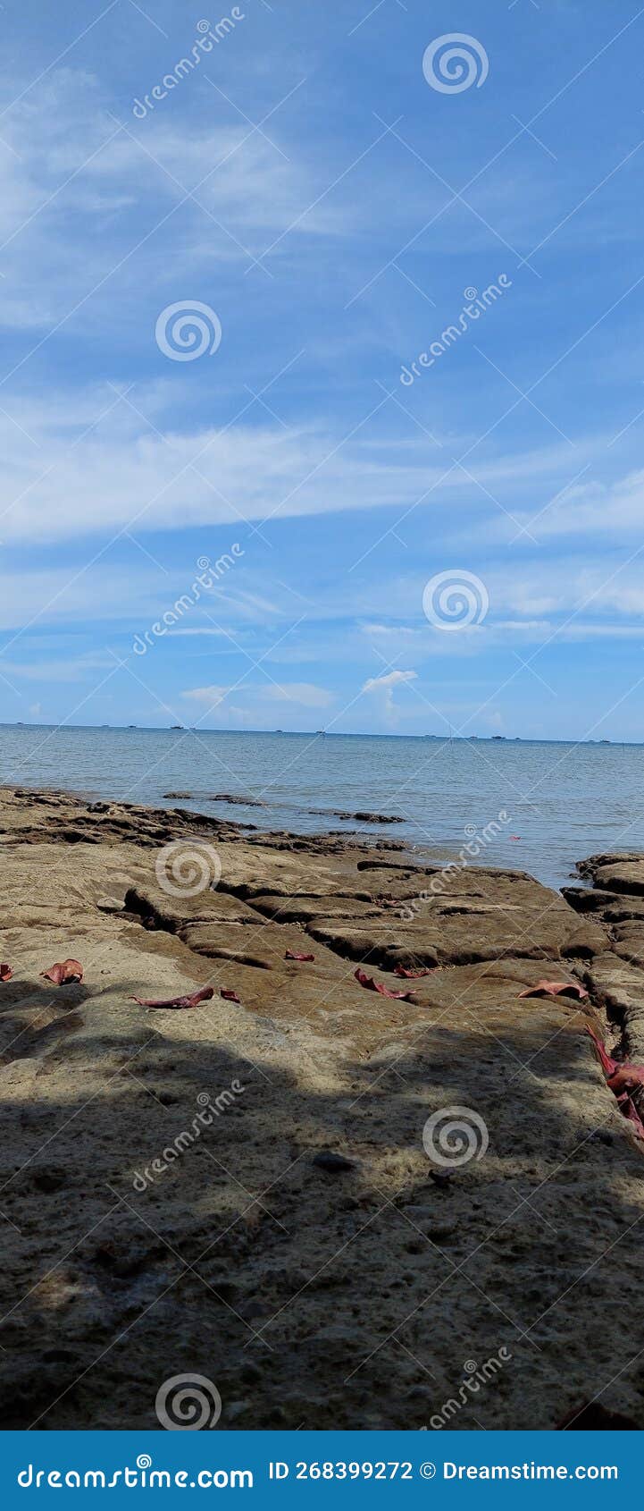 Hot Sun at Noon on the Beach Stock Photo - Image of ocean, coast: 268399272