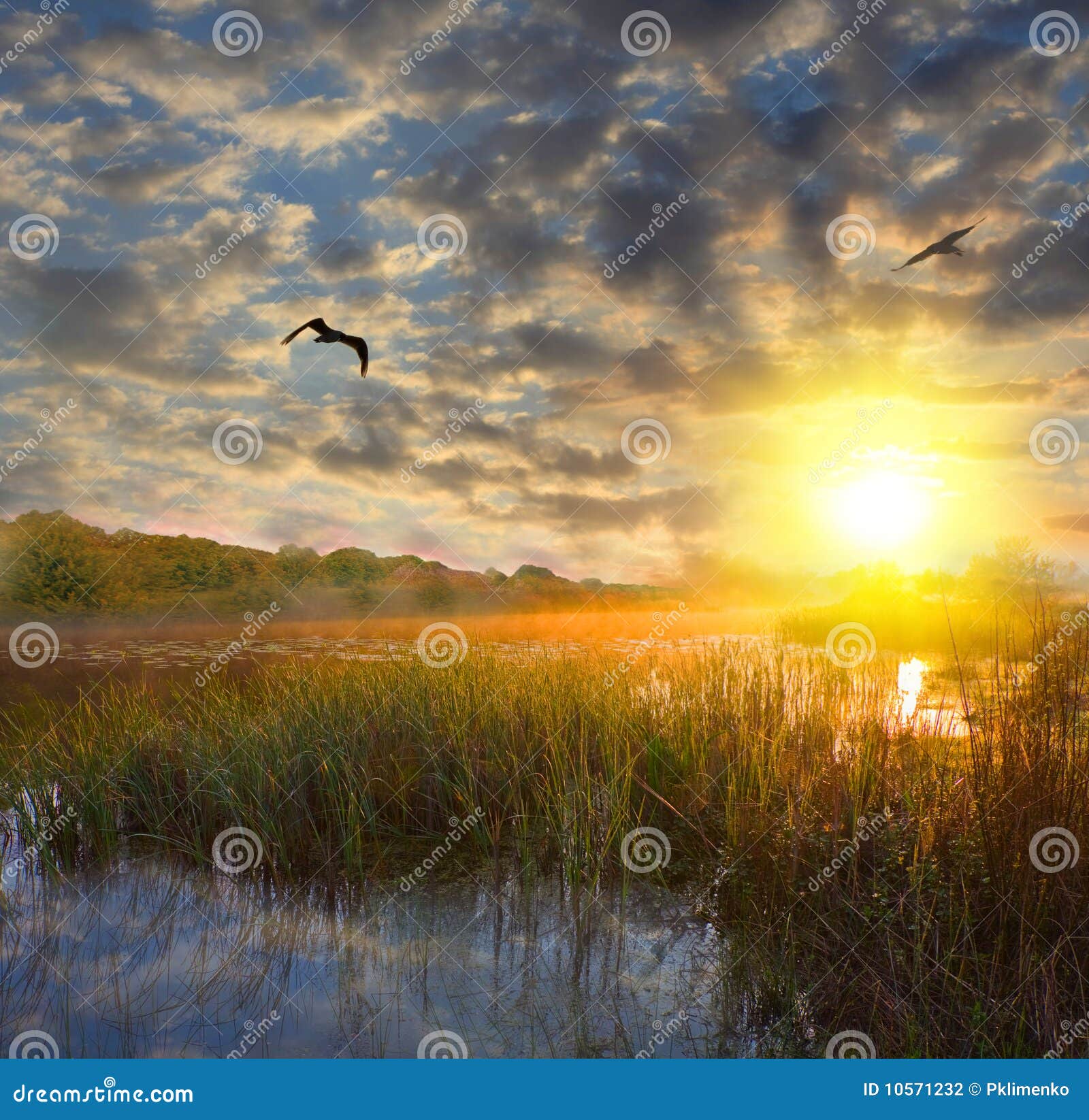 Hot sunset in river stock photo. Image of river, peace - 10571232
