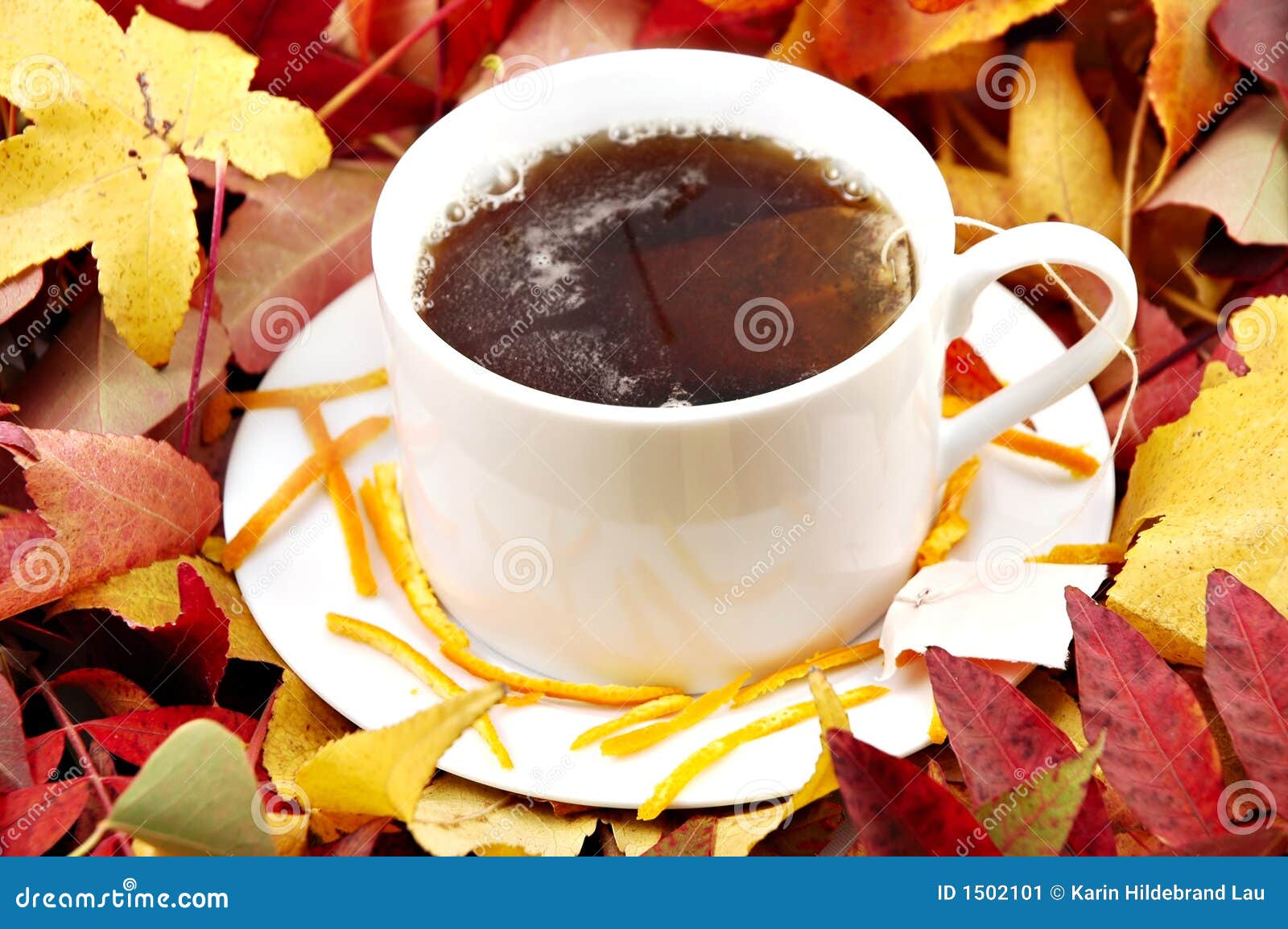 Hot tea in autumn stock image. Image of autumn, pekoe - 1502101