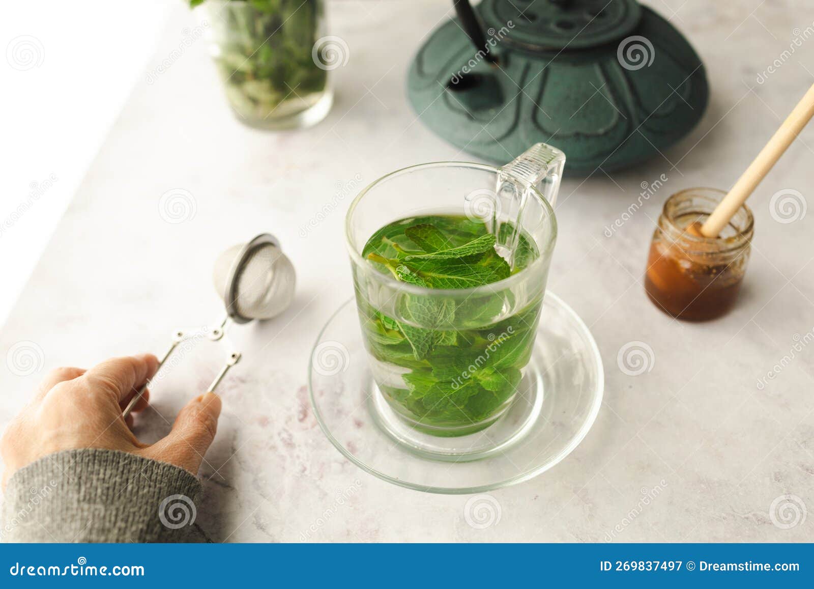 Hot Tea with Fresh Mint Leaves Stock Image - Image of flower ...