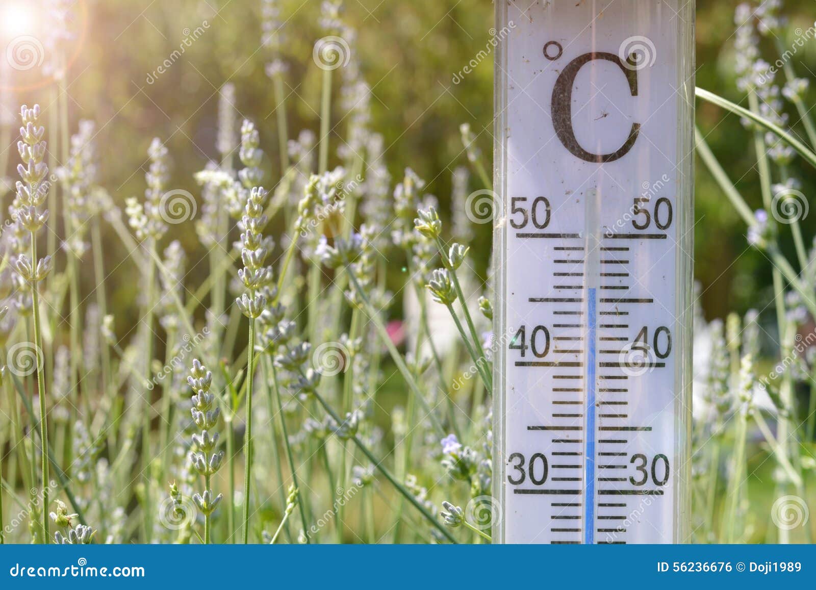 Hot temperature stock photo. Image of measurement, weather - 56236676