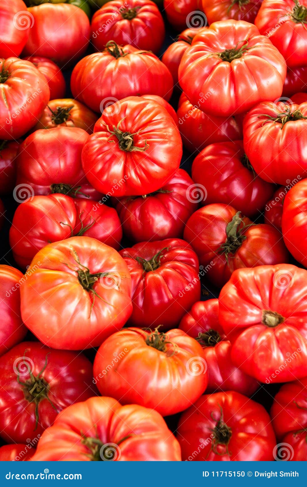 Hot Tomatoes stock photo. Image of fresh, ripe, fruit - 11715150