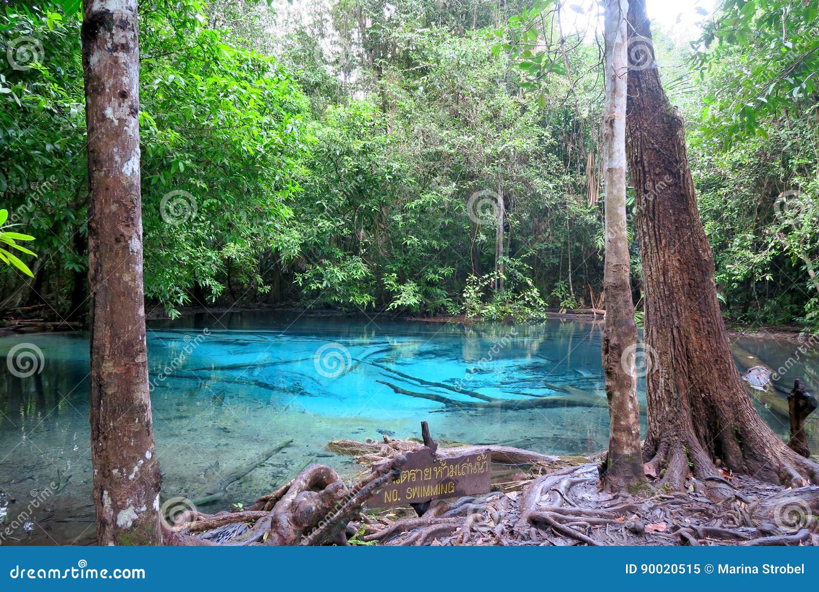 Hot but Very Clear and Blue Water, Hot Spring Stock Image - Image of ...