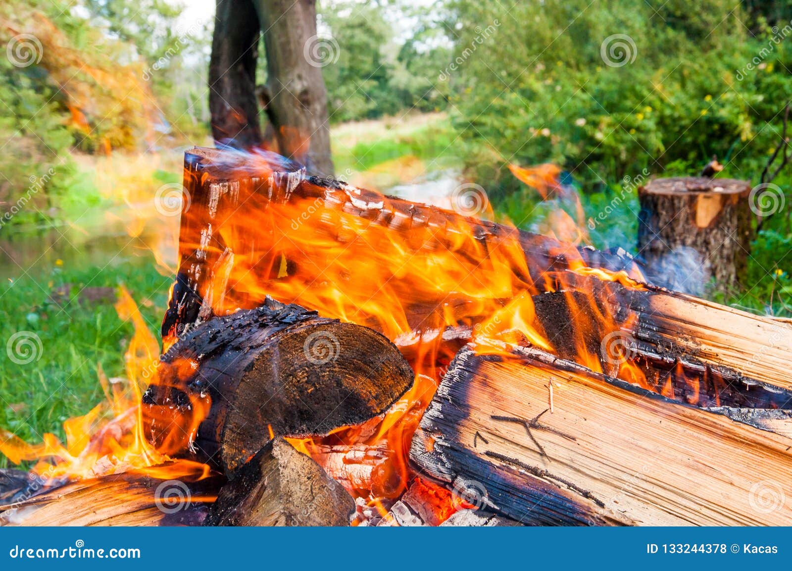 The Flame of the Burning Firewood Stock Photo - Image of combustible ...