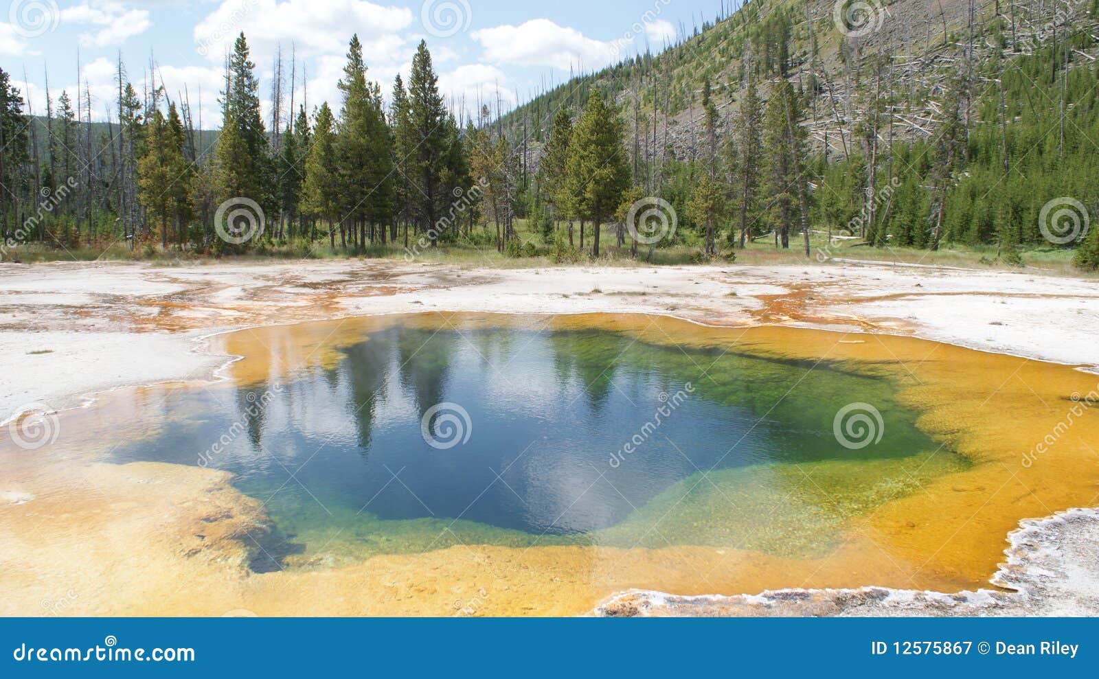 Hot Volcanic Springs in Yellowstone Park Stock Image - Image of trees ...