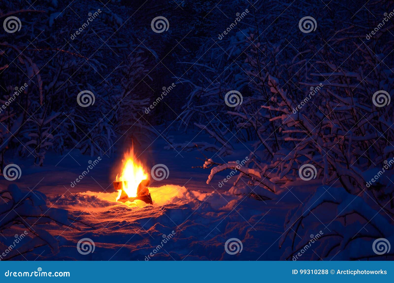 Hot Warming Campfire in Snowy Winter Stock Photo - Image of landscape ...