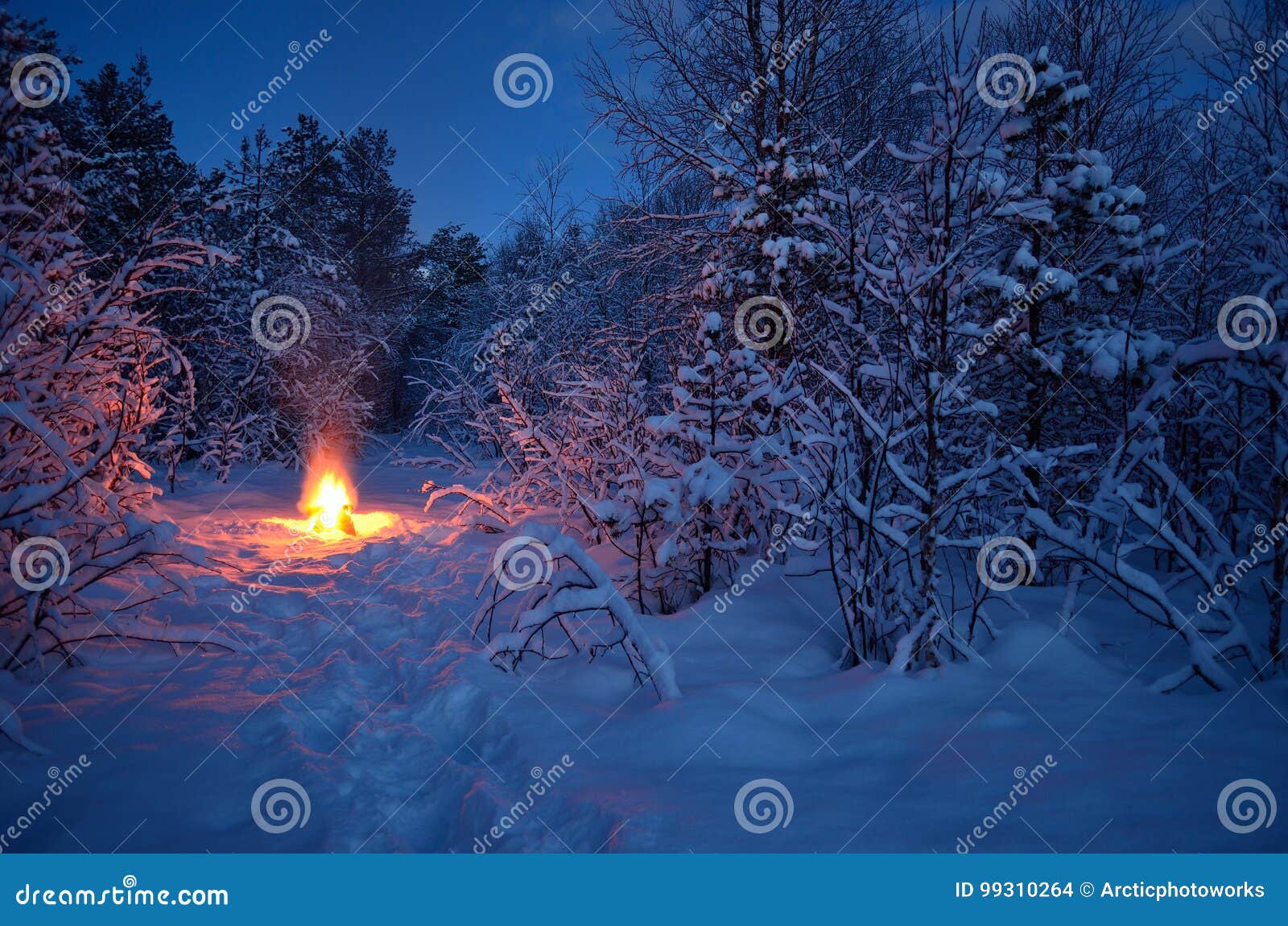 Hot Warming Campfire in Snowy Winter Stock Photo - Image of arctic ...