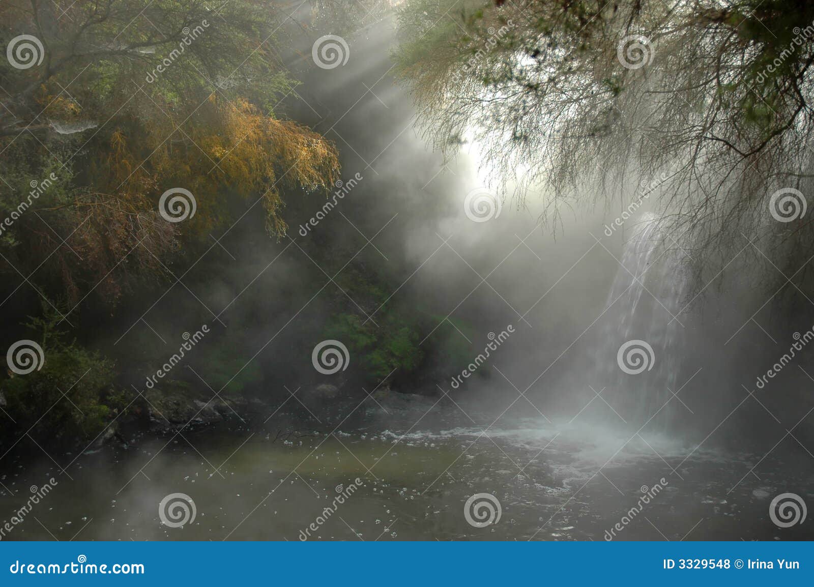 Hot waterfall stock photo. Image of river, rotorua, bush - 3329548
