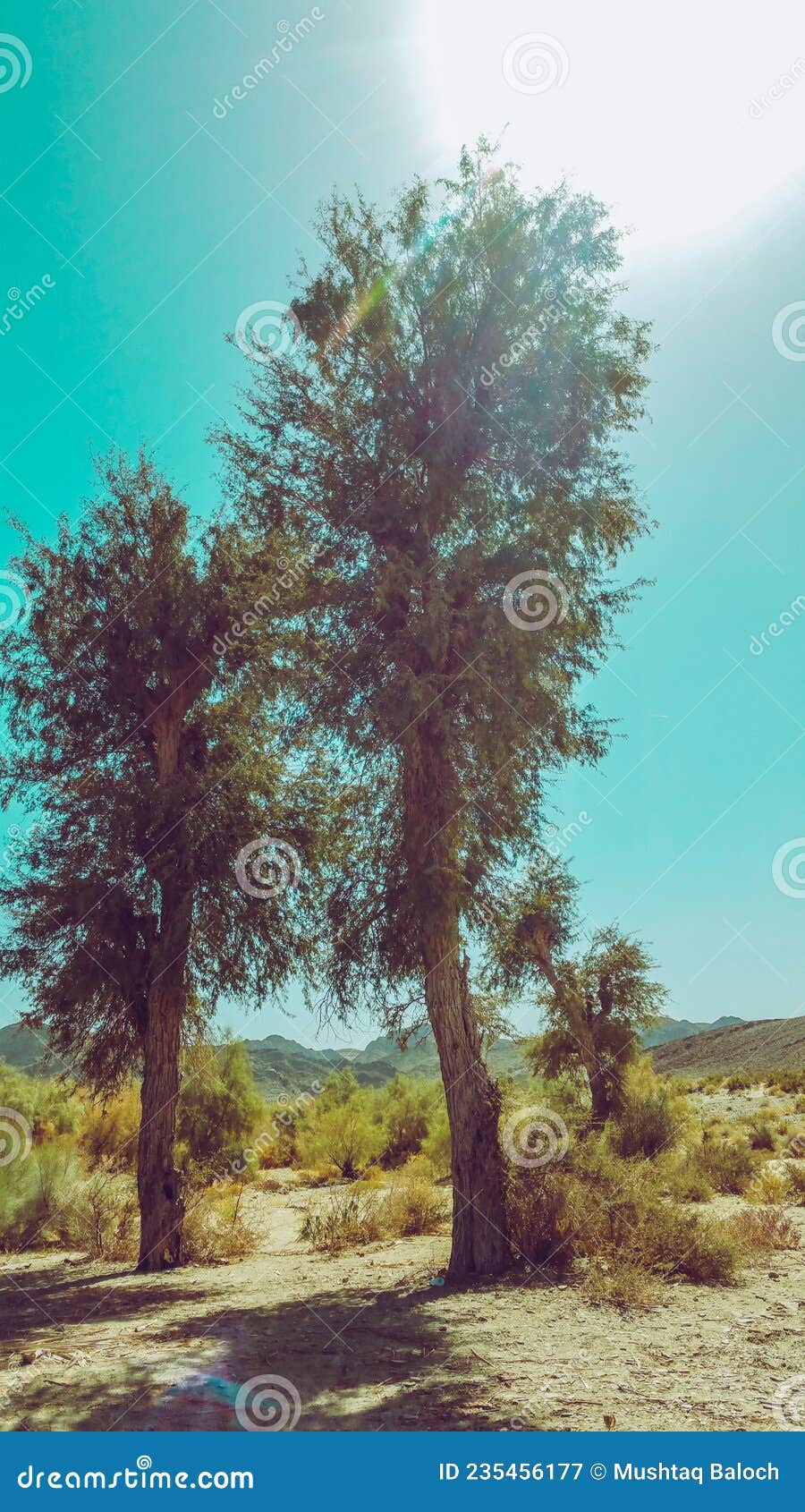 Hot Weather in Desert Valley Stock Image - Image of vall, weather ...