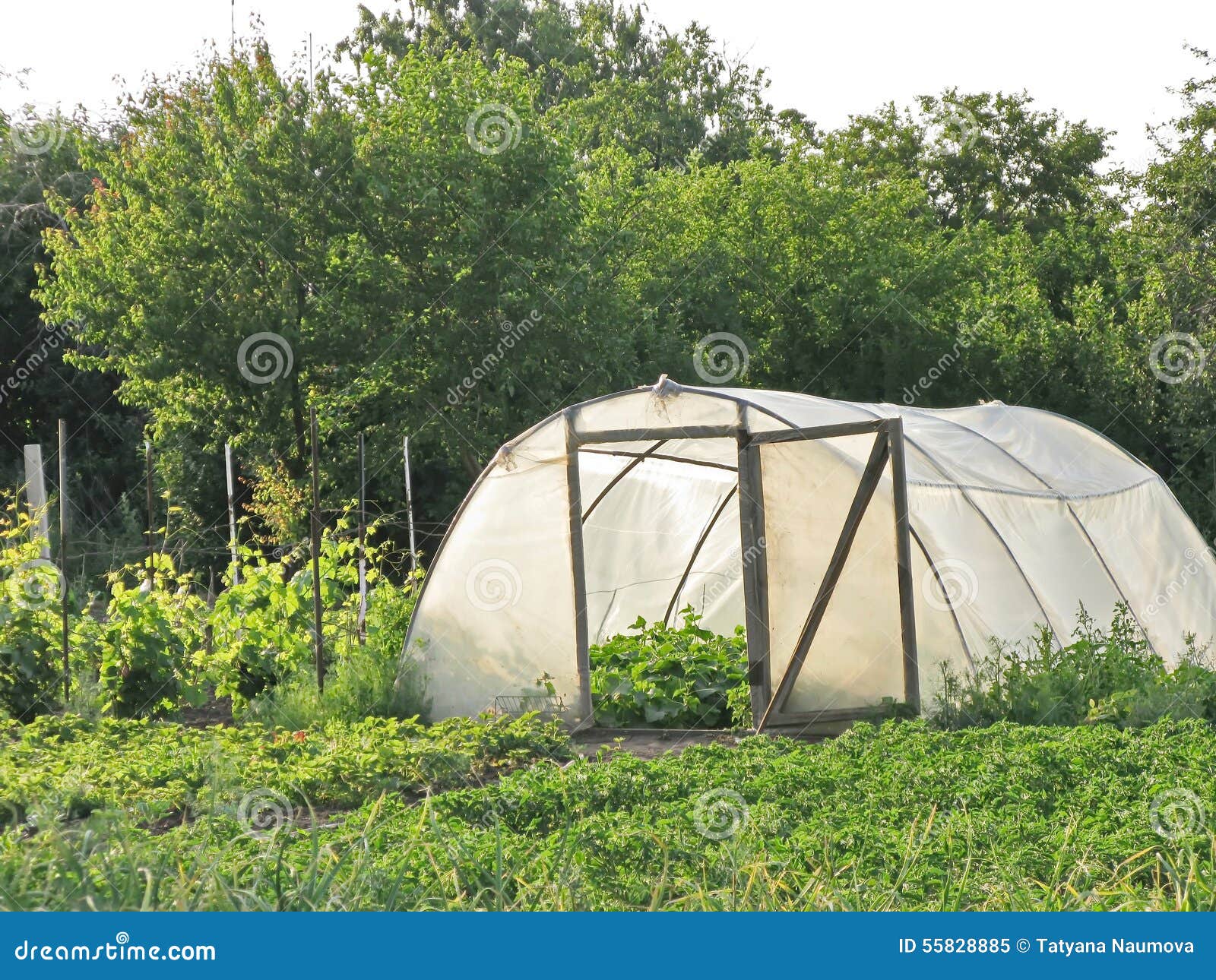 Hotbed on a Vegetable Garden Stock Image - Image of nonwoven, hotbed ...