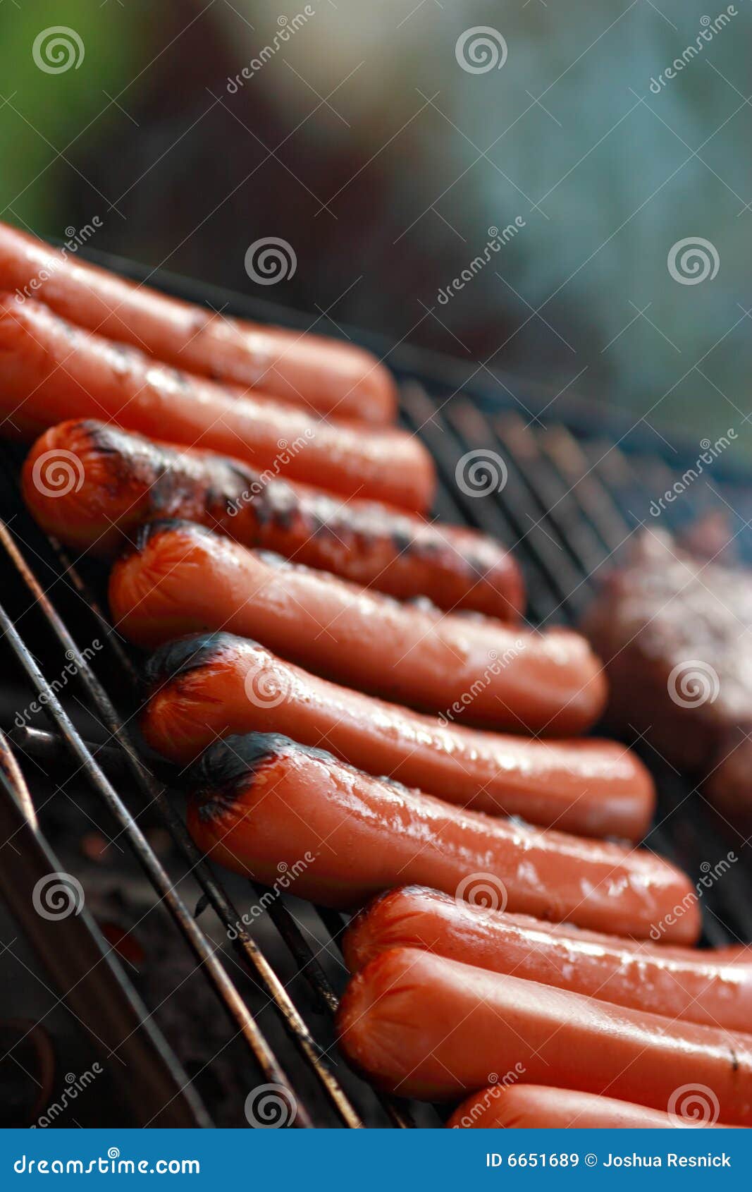 Hotdogs on the grill stock image. Image of meat, grill - 6651689