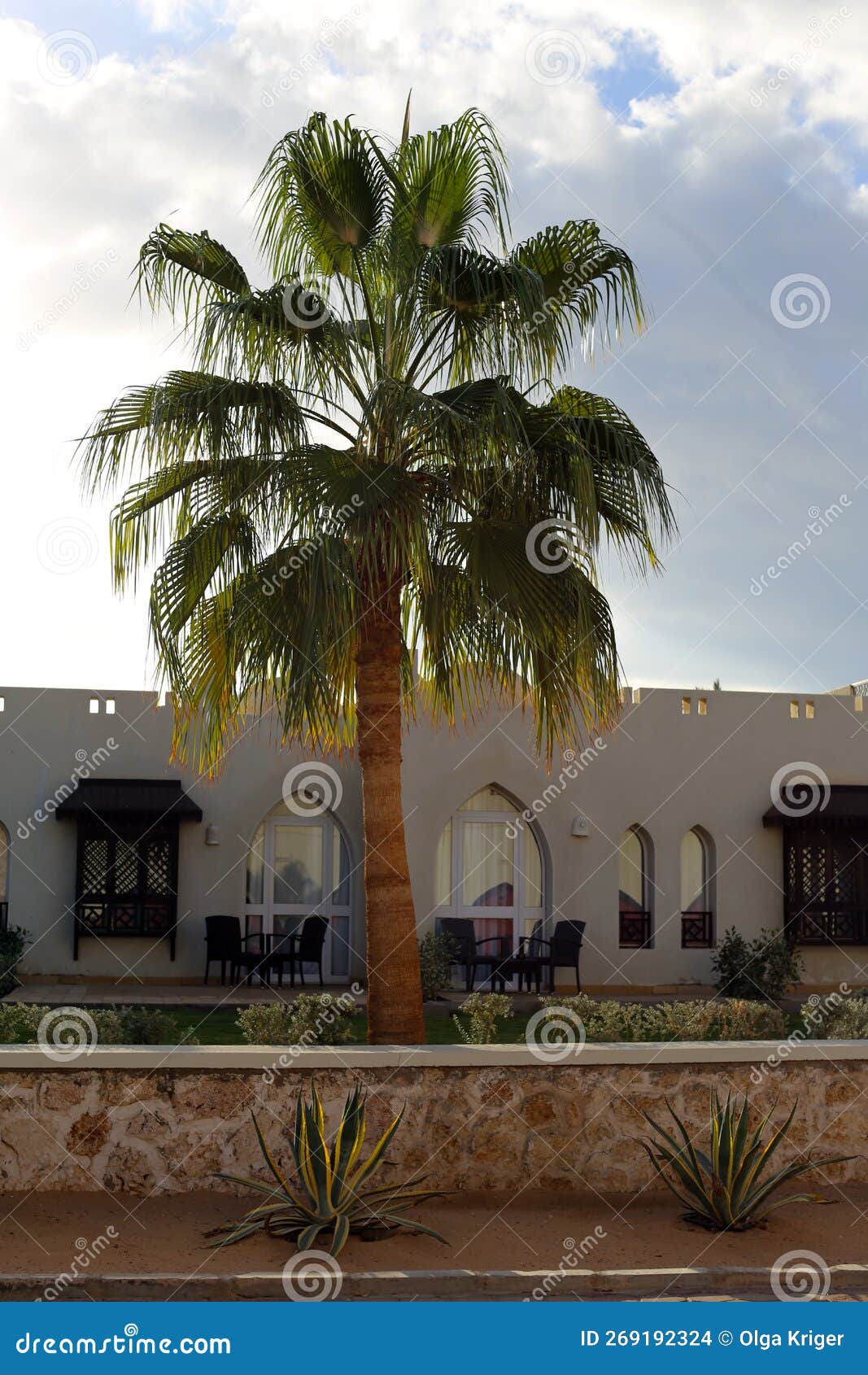 Hotel Area with Palm Trees Landscape Stock Photo - Image of summer ...