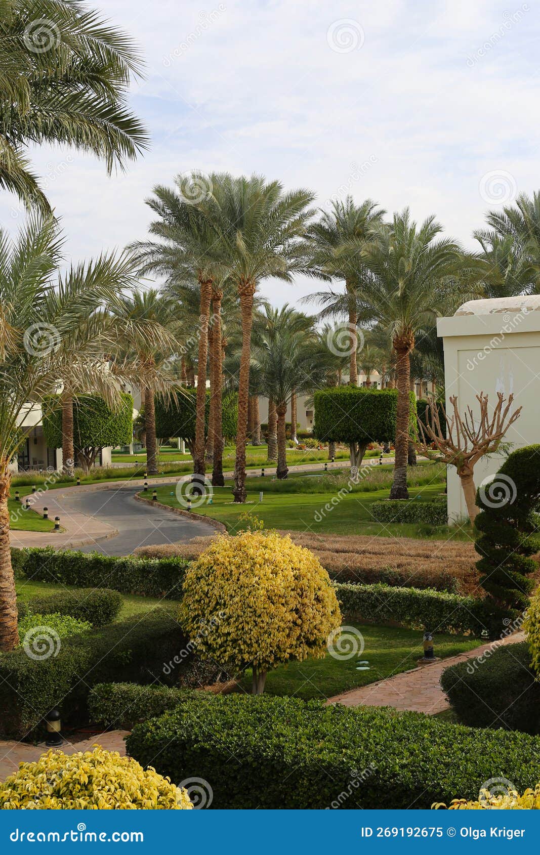 Hotel Area with Palm Trees Landscape Stock Image - Image of vacation ...