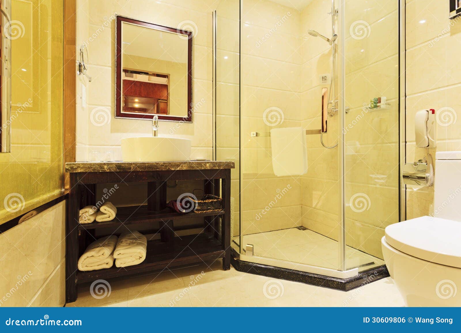 Hotel Toilet Design And Layout