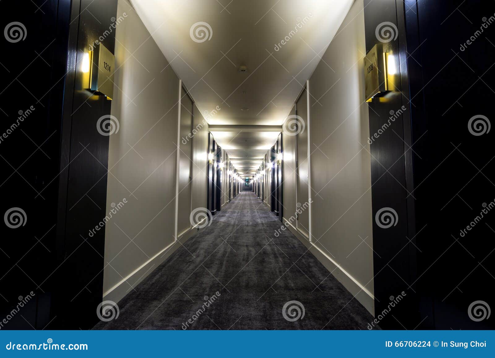 Hotel hallway stock photo. Image of building, hall, lobby - 66706224