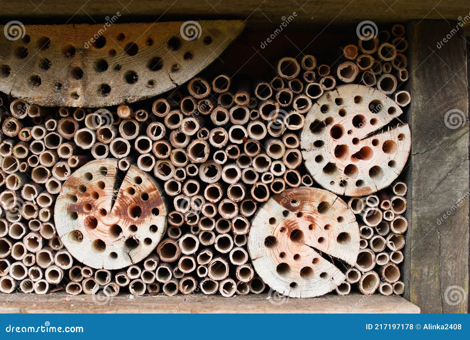 Hotel Insects are Made Up of Several Different Sections, Made from ...