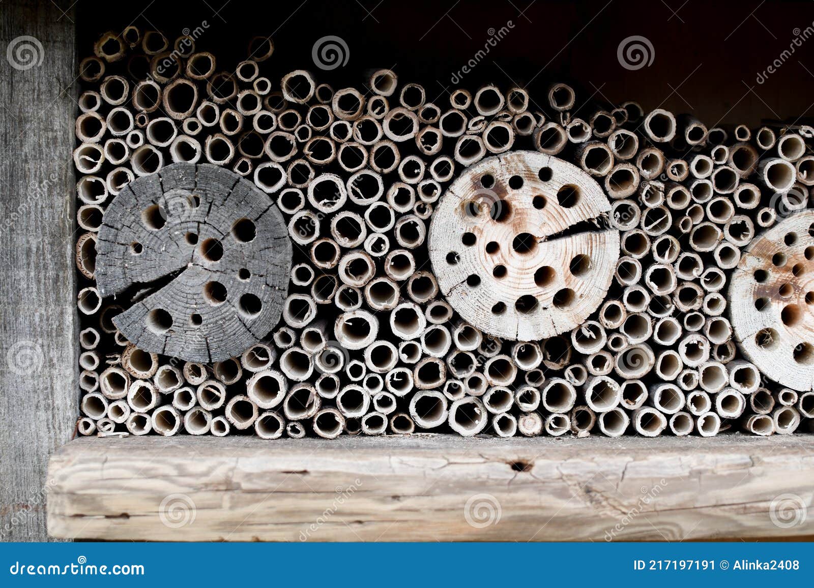 Hotel Insects are Made Up of Several Different Sections, Made from ...