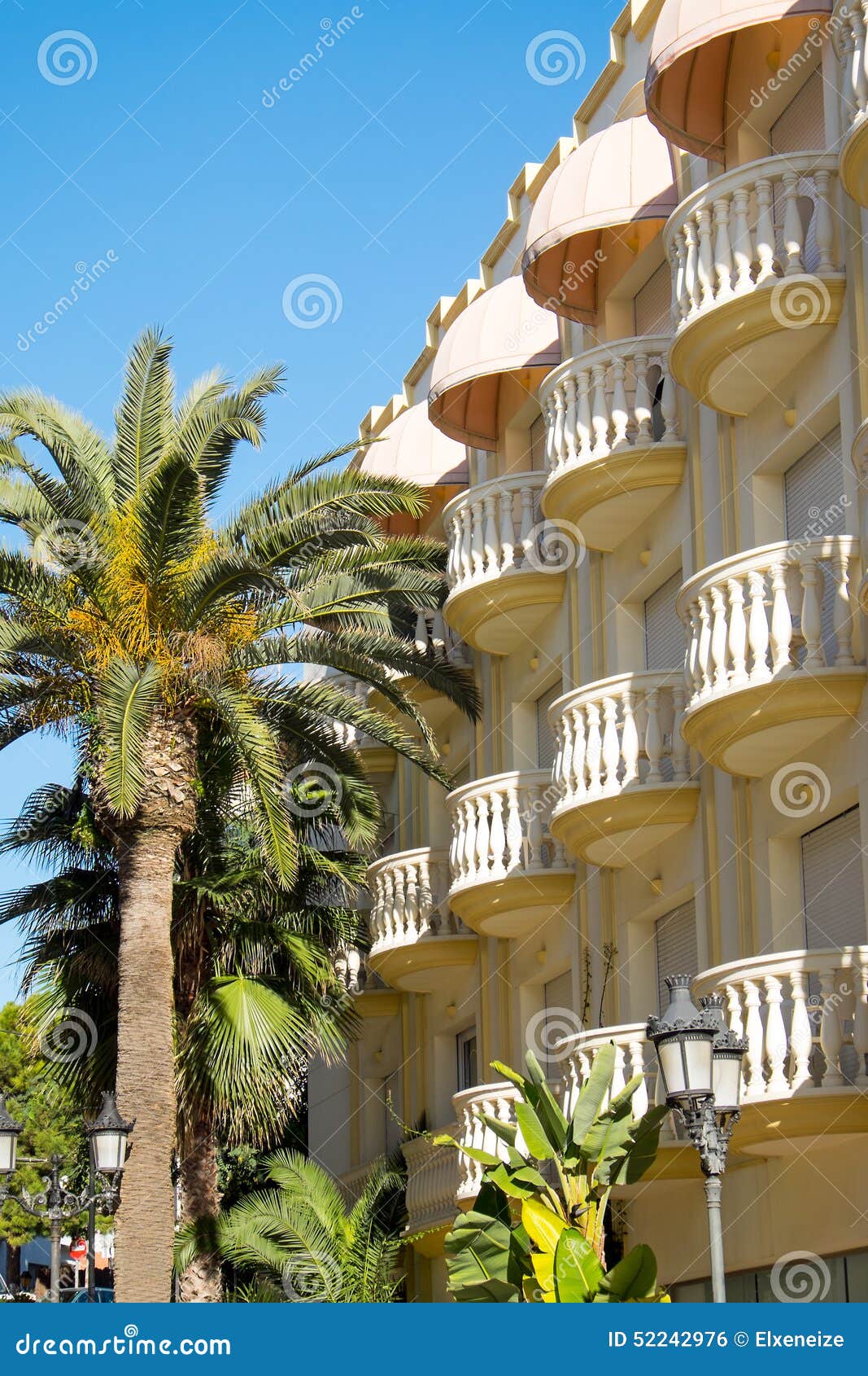 Hotel with palm trees stock photo. Image of rest, facilities - 52242976