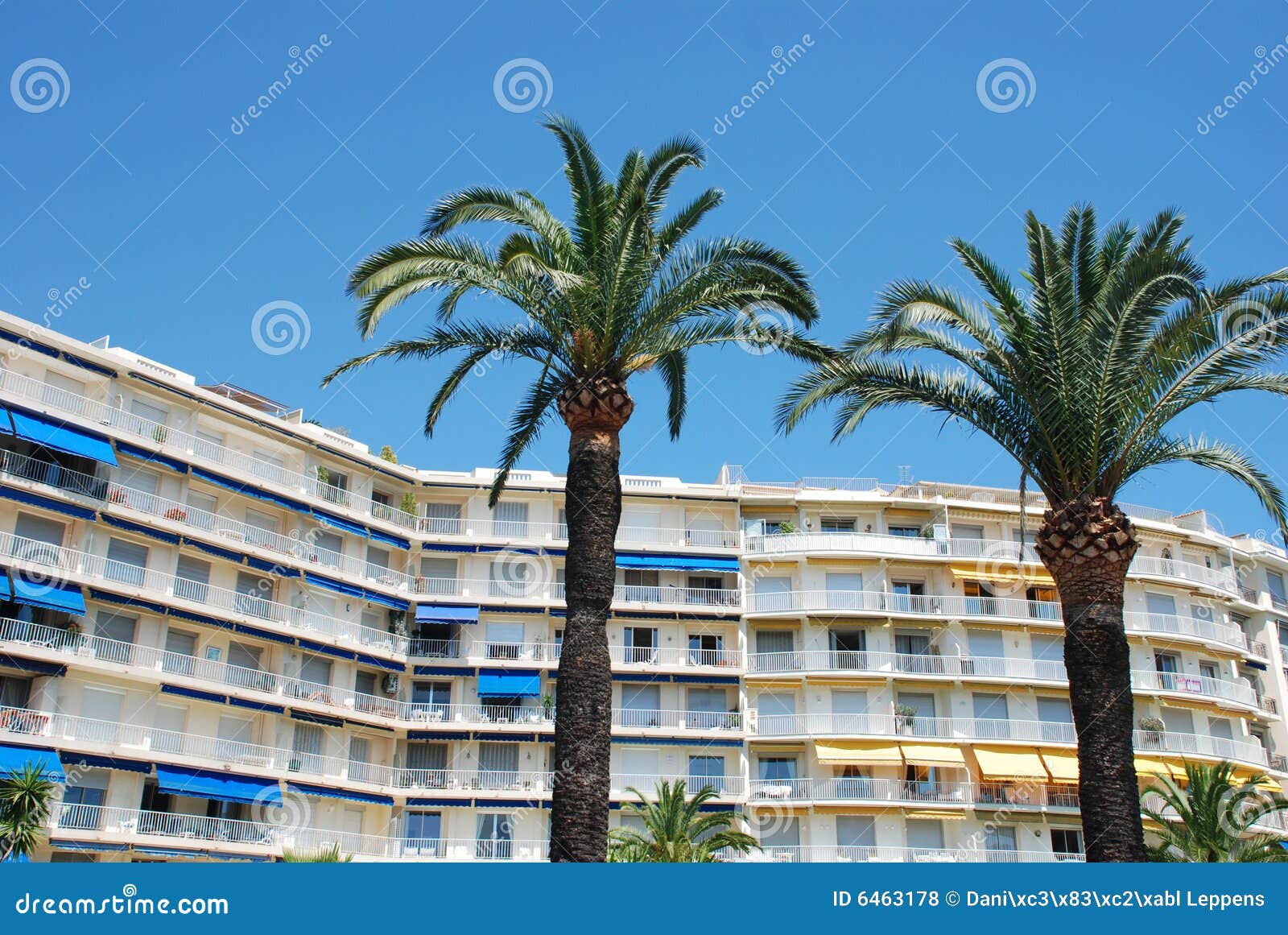 Hotel with palmtrees stock photo. Image of cote, detail - 6463178