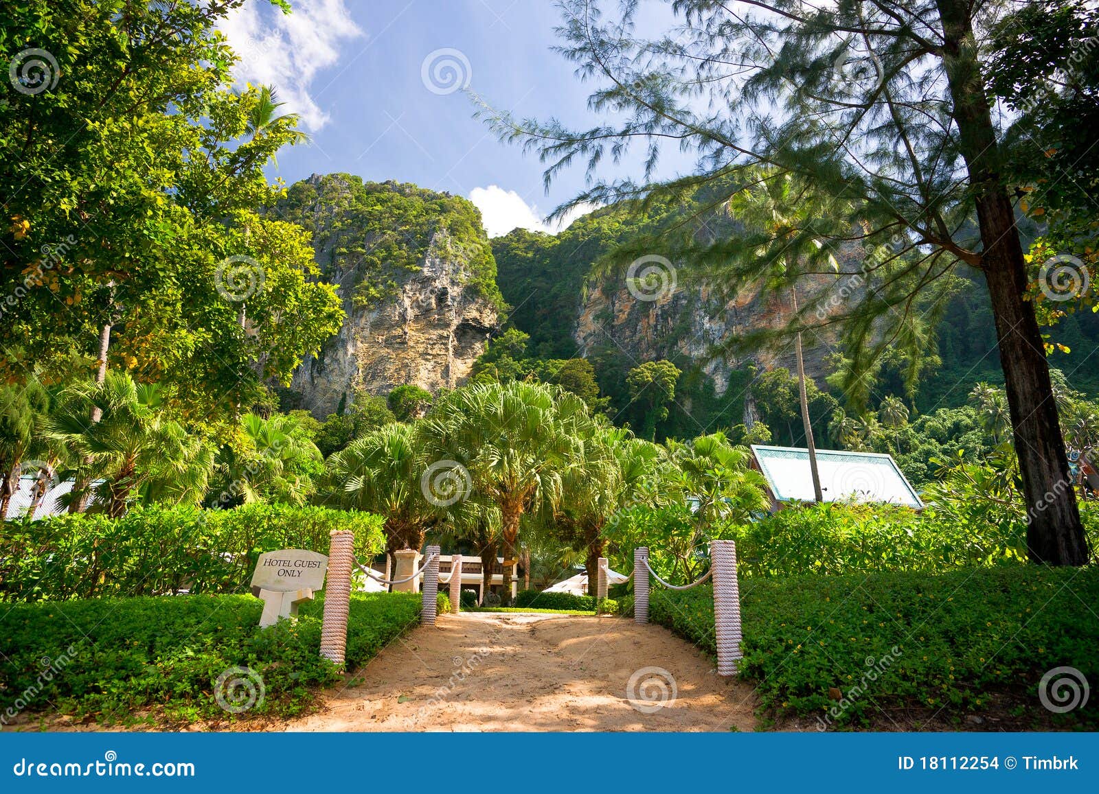 Hotel path stock photo. Image of tablet, green, tree - 18112254