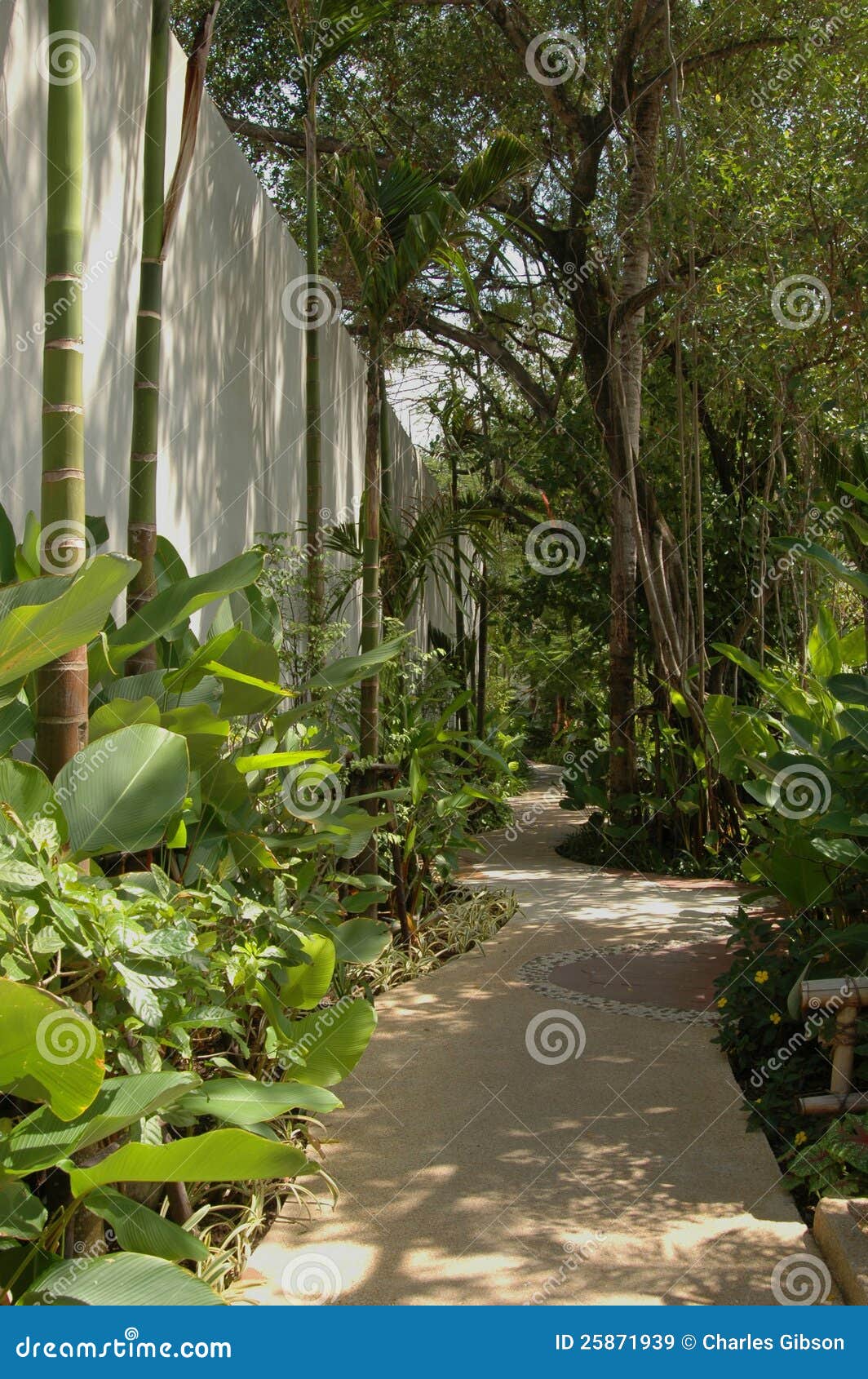 Hotel pathway stock image. Image of route, flowers, paving - 25871939