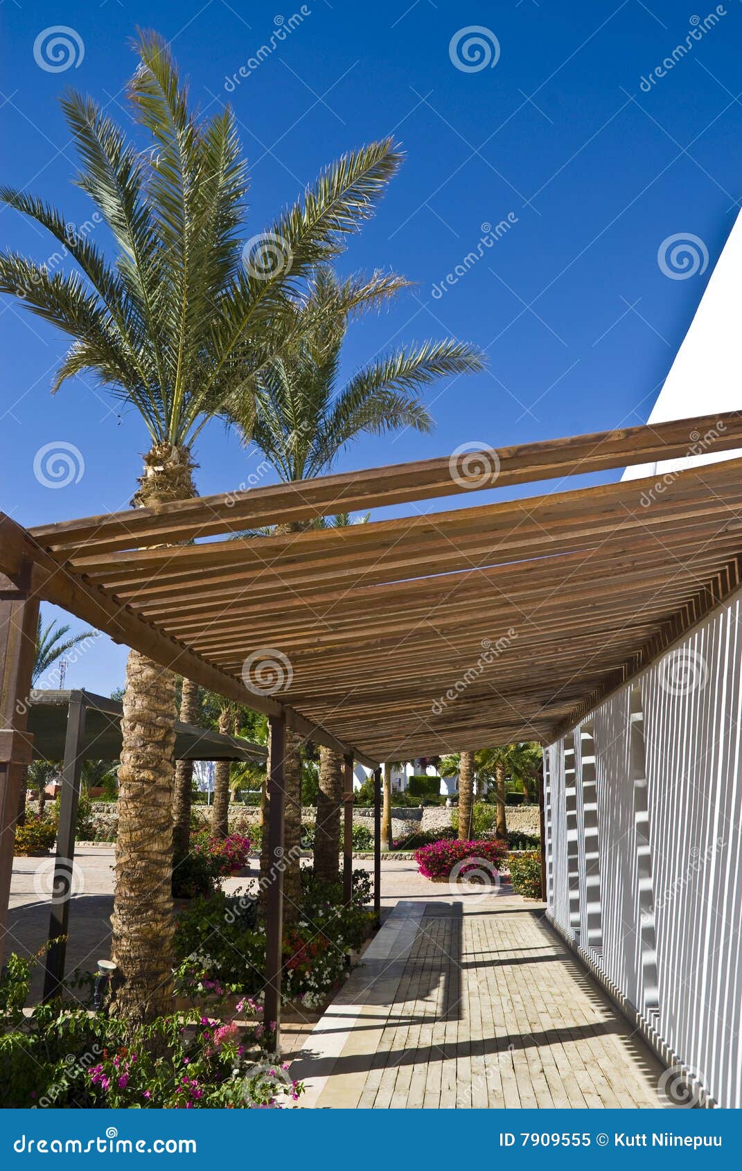 Hotel Walkway stock image. Image of resort, awning, architecture - 7909555