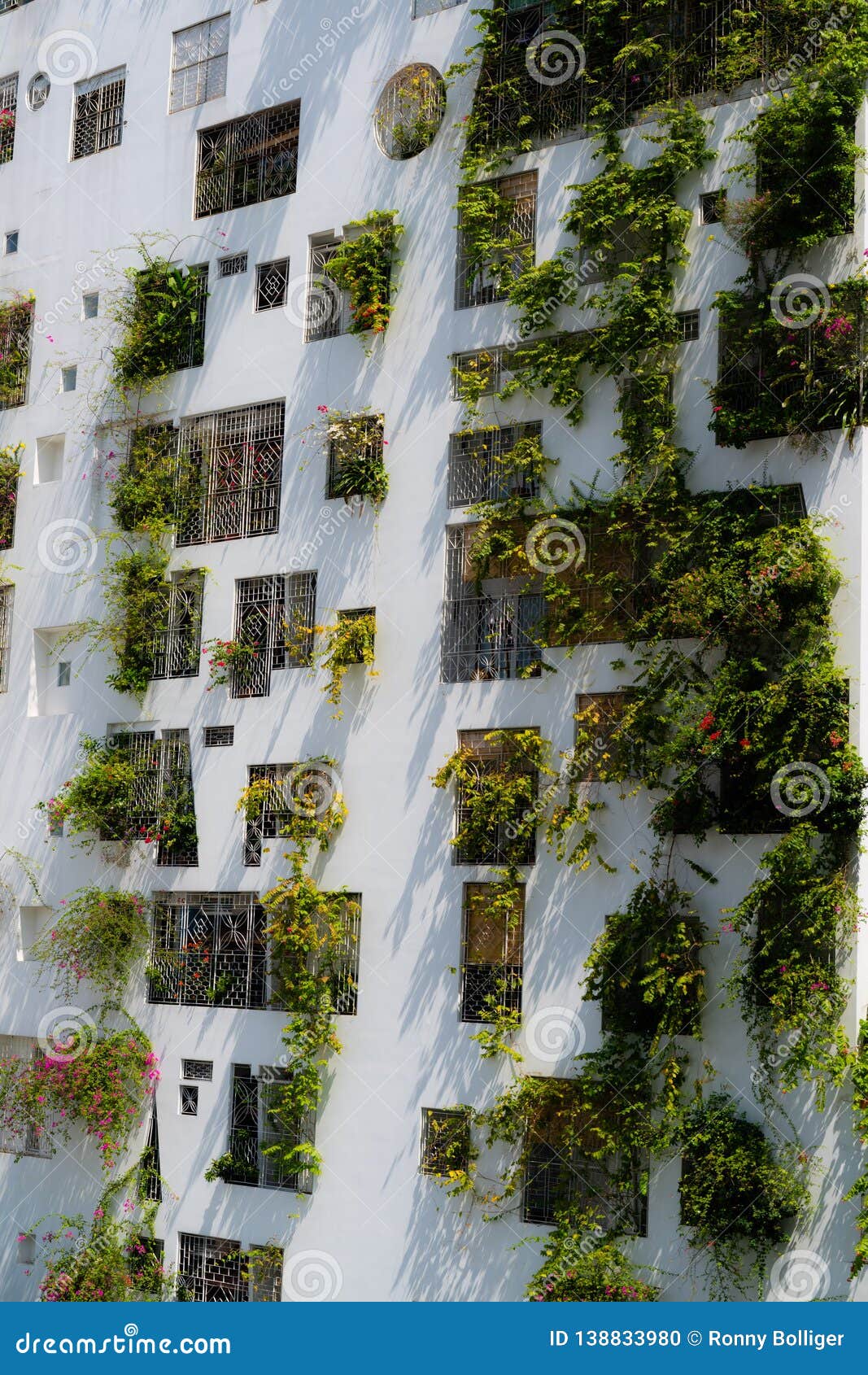 Hotel Wall and Windows Covered in Leafs. Stock Photo - Image of cover ...